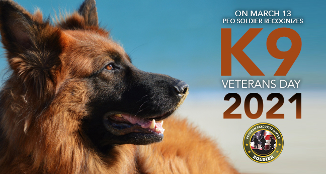 K9 Veterans Day 2021