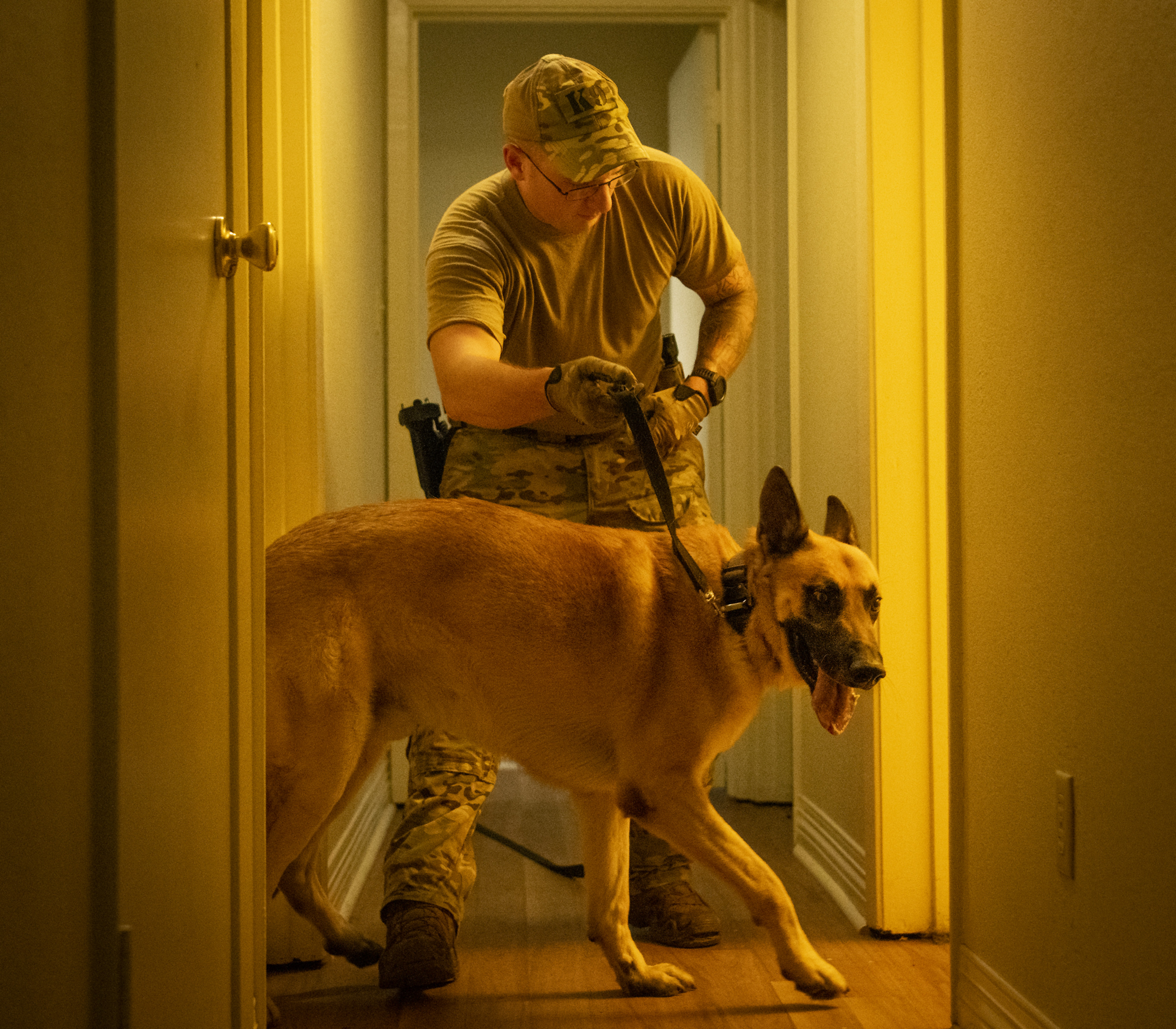 Paw patrolling: Eglin hosts military working dog competition > Eglin ...