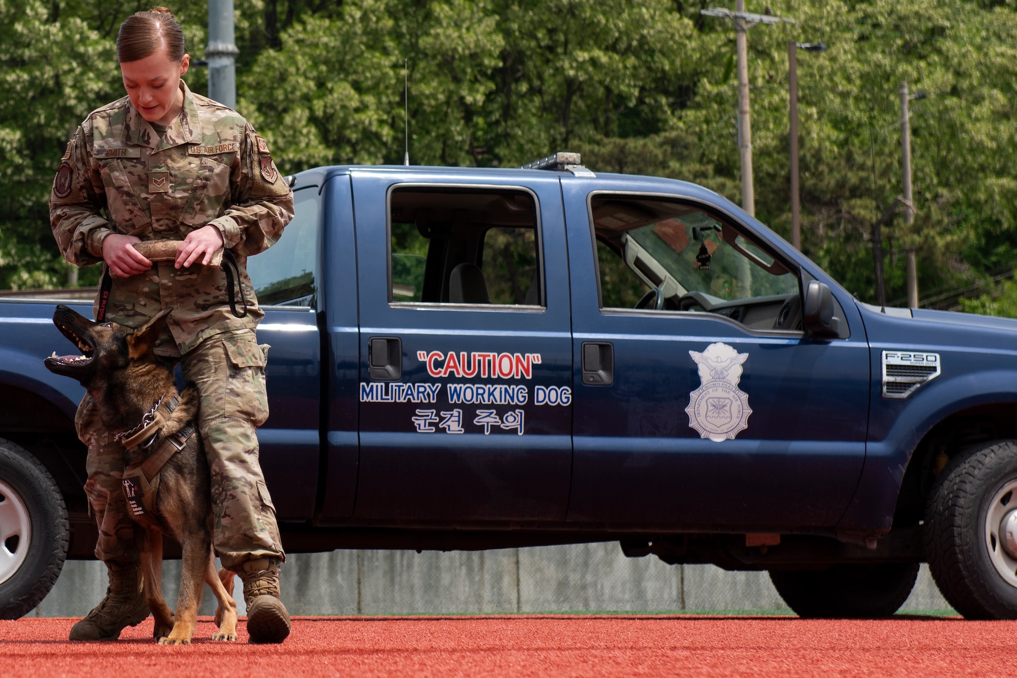 51 SFS Demos Dog Prowess > Osan Air Base > Article Display