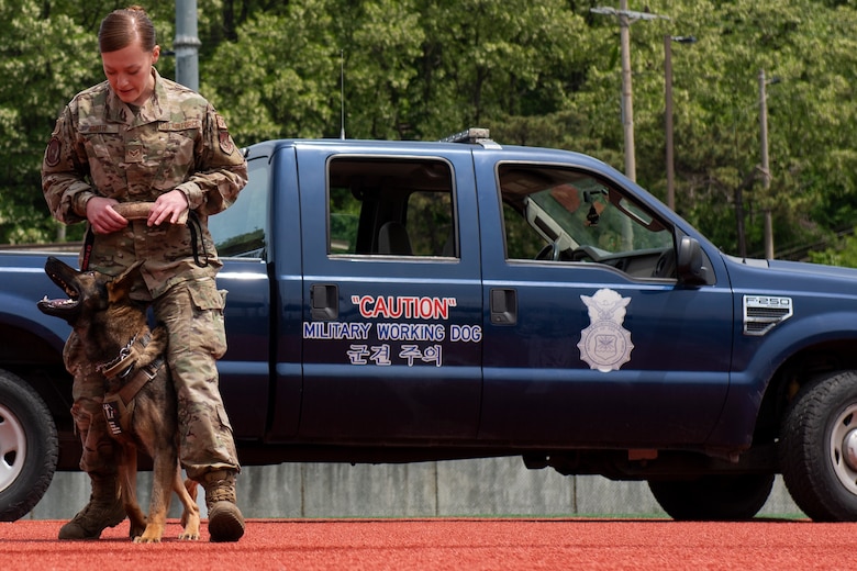 51 SFS Demos Dog Prowess > Osan Air Base > Display