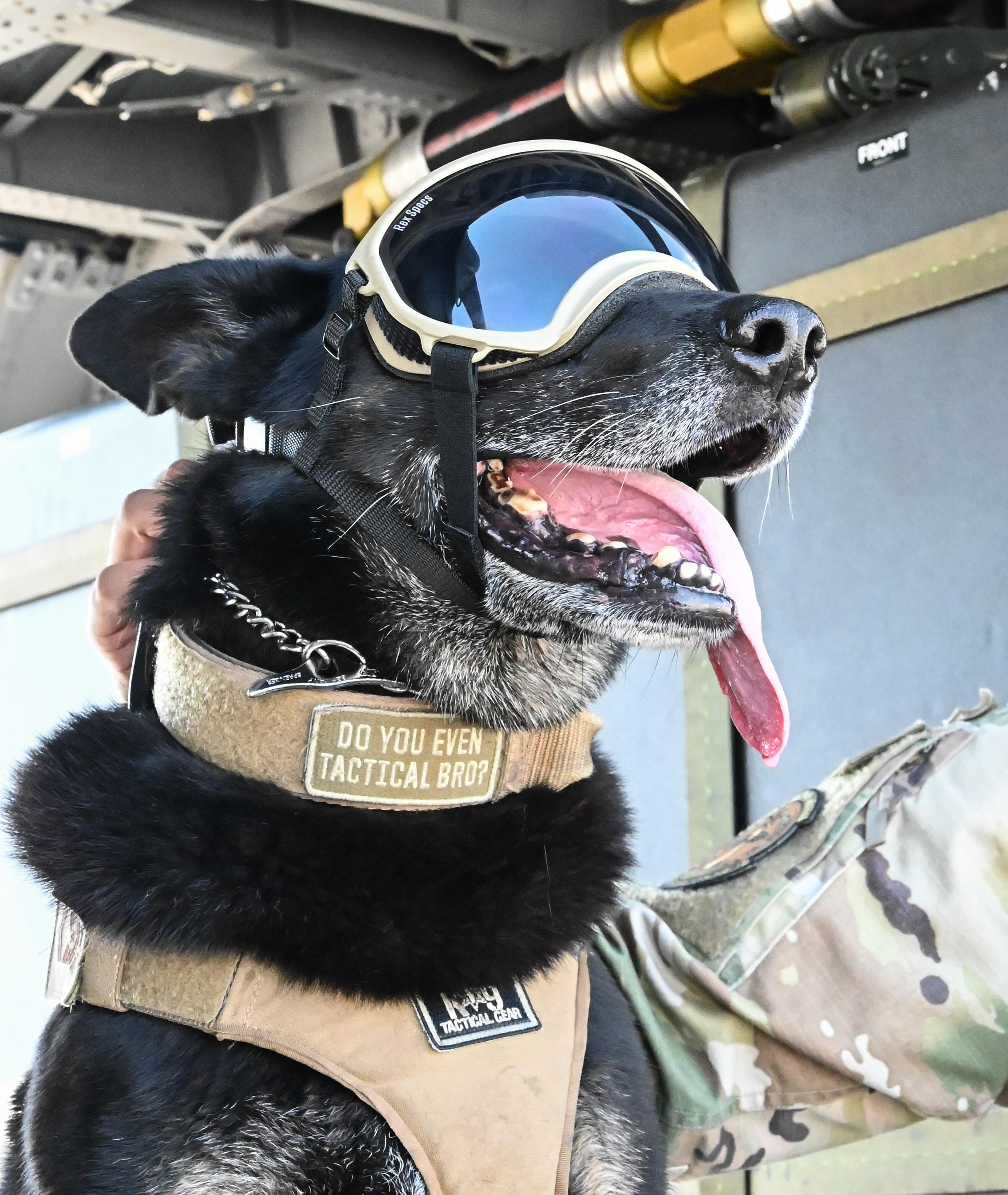 301st provides MWD with familiarization flight > 920th Rescue Wing ...