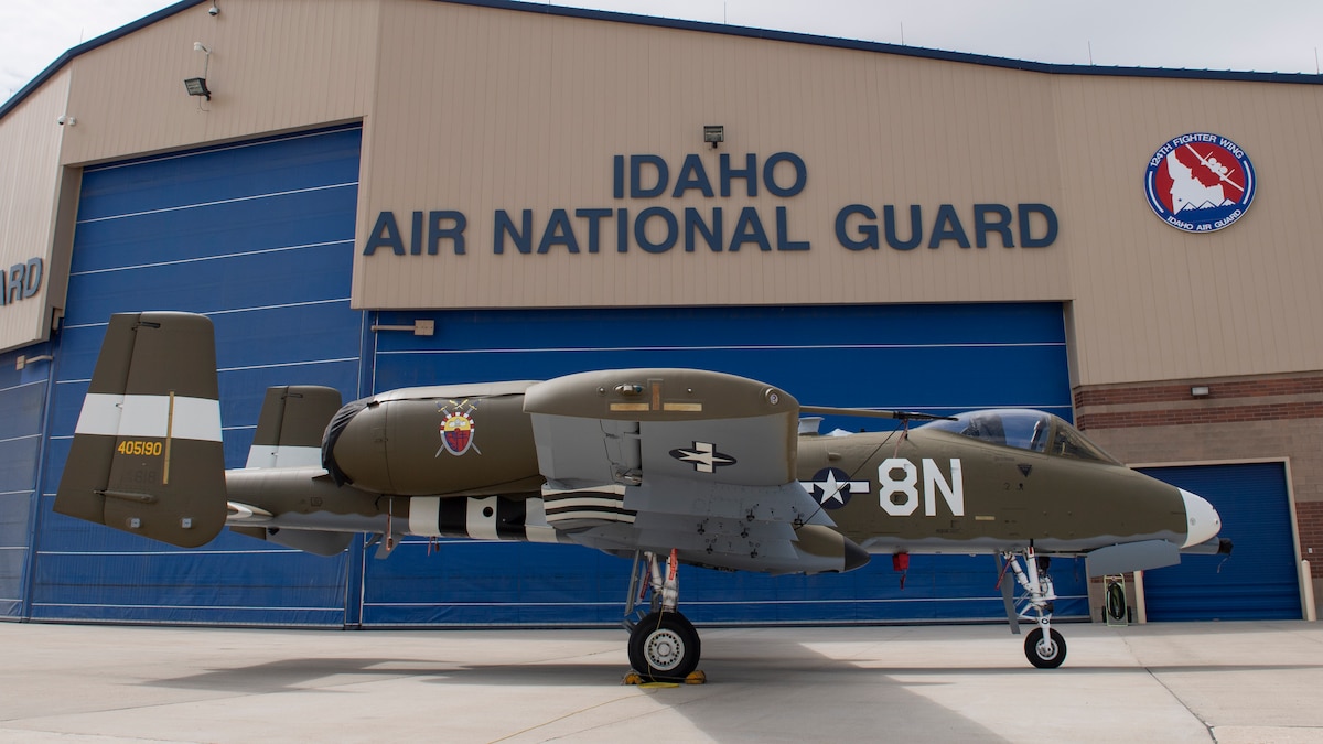 124th Fighter Wing unveils a specially painted heritage A-10 > Air ...