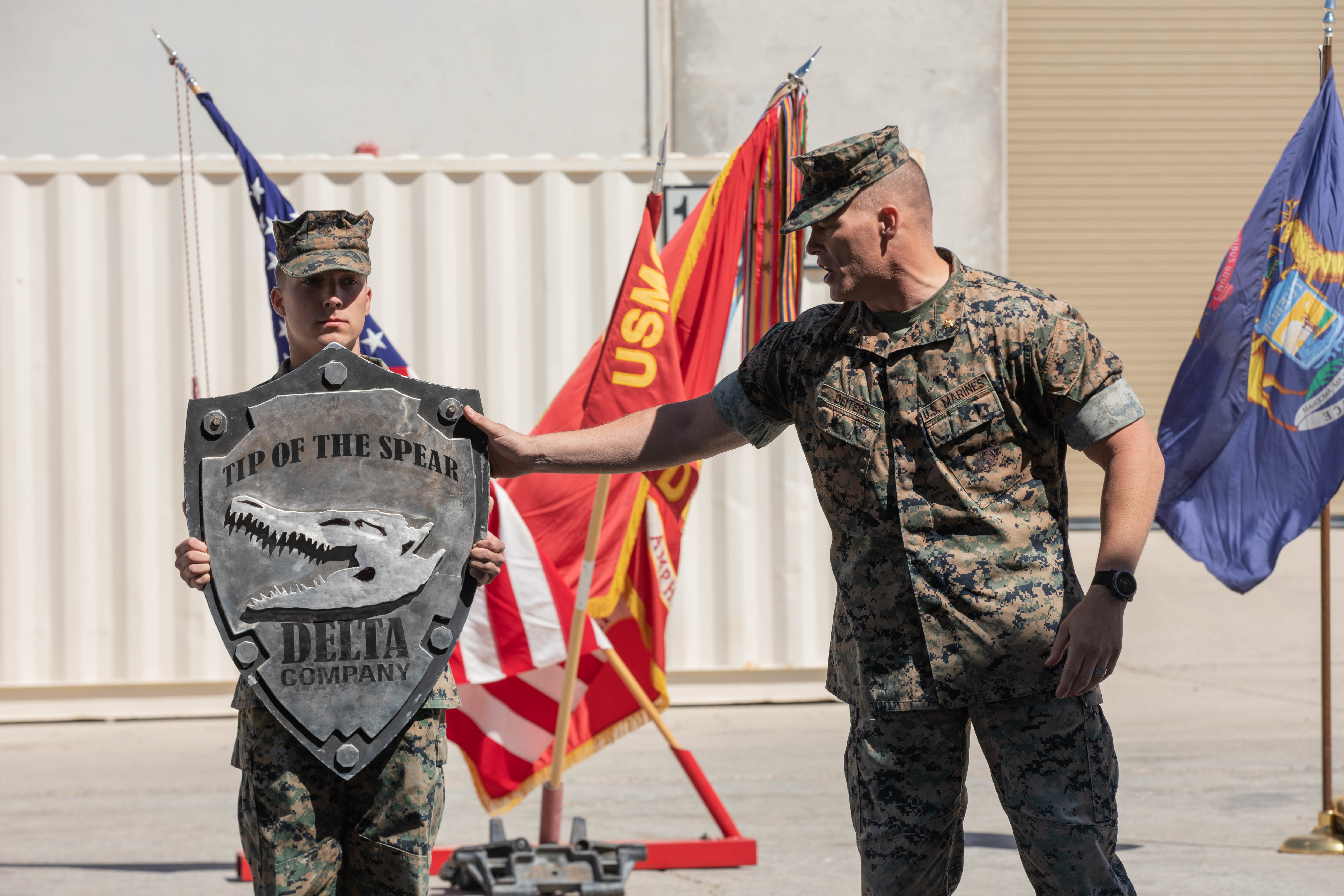 Co. D 3rd AABn Deactivation Ceremony