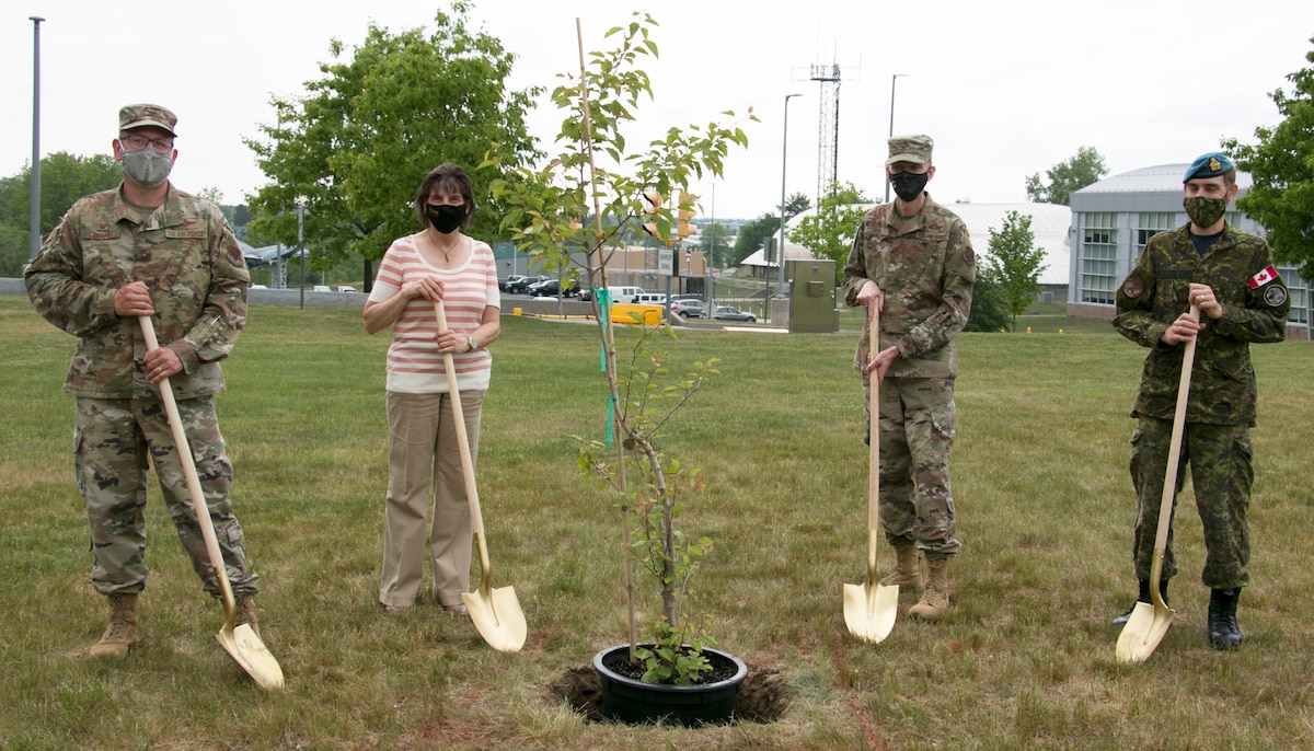 9/11 Memorial Survivor Tree seedling planted at EADS > Eastern Air ...