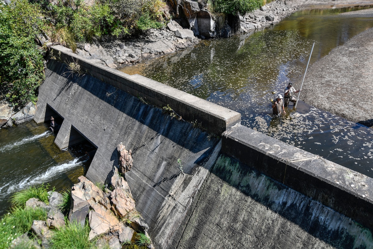 Air Force, USFWS partner to restore fish habitat > Air Force Civil ...
