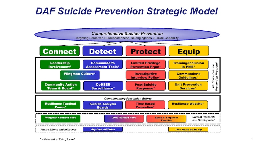 Suicide Prevention Strategic Model