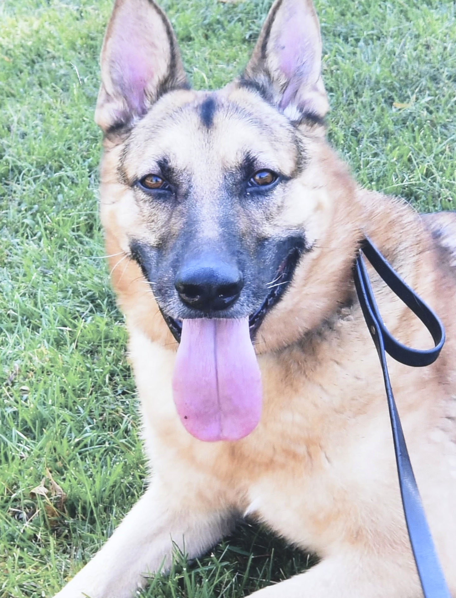 21st SFS retires seven, honors one fallen MWD > Peterson and Schriever ...