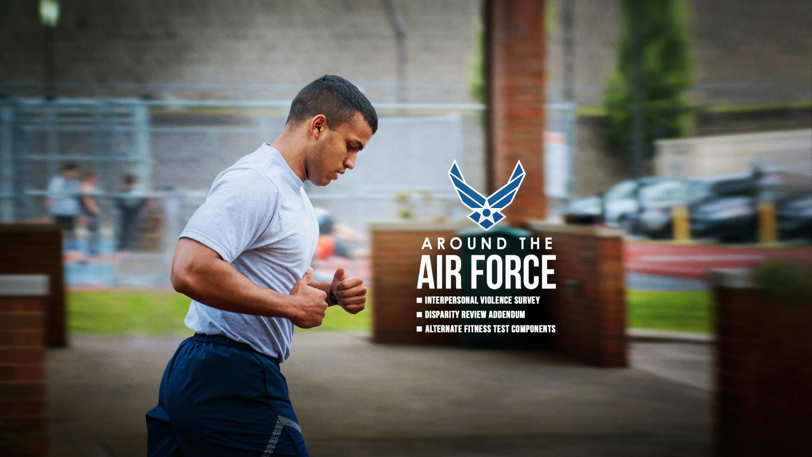 Around the Air Force: Interpersonal Violence Survey, Disparity Review ...