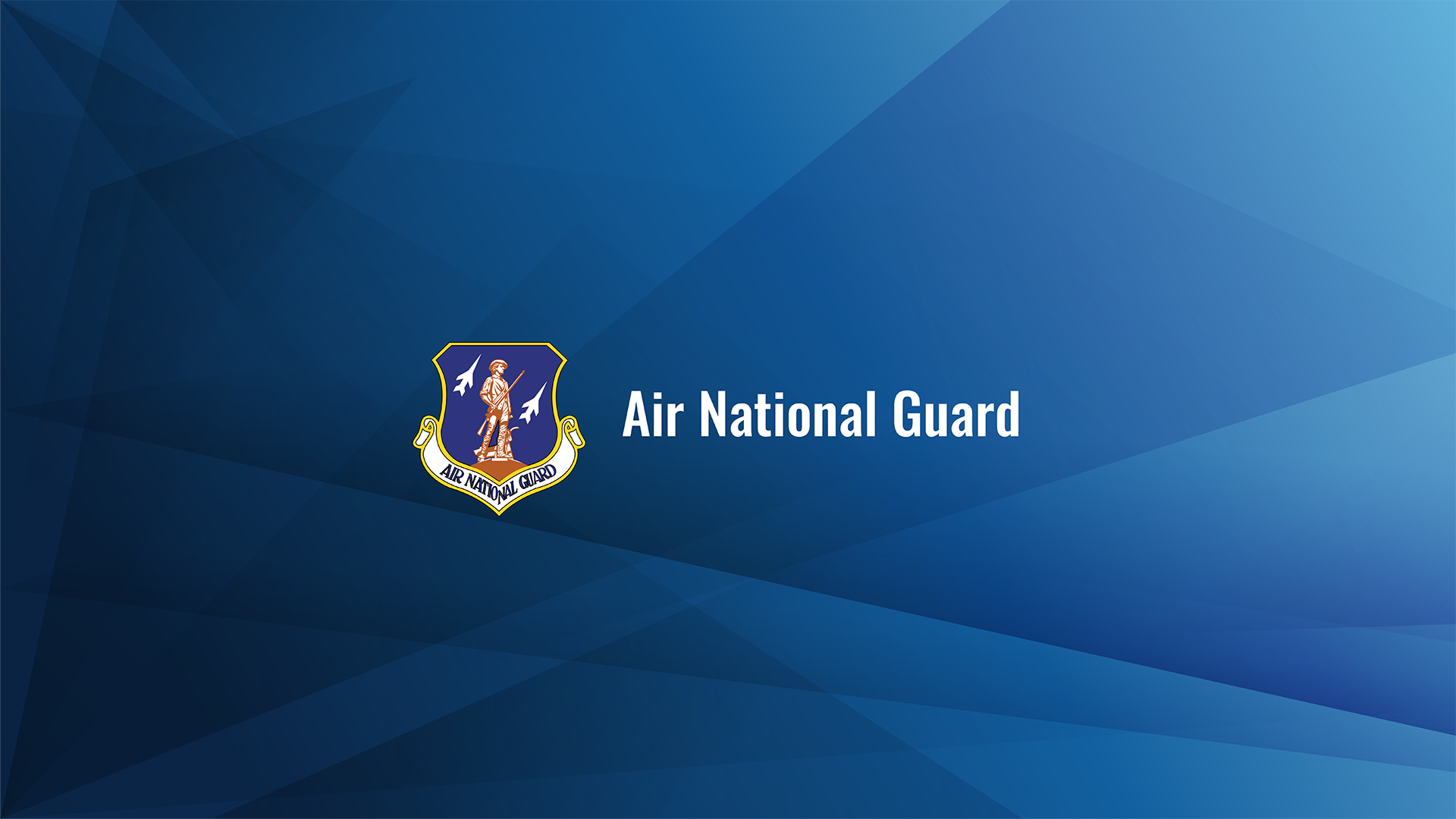 Air National Guard > Air Force > Fact Sheet Display
