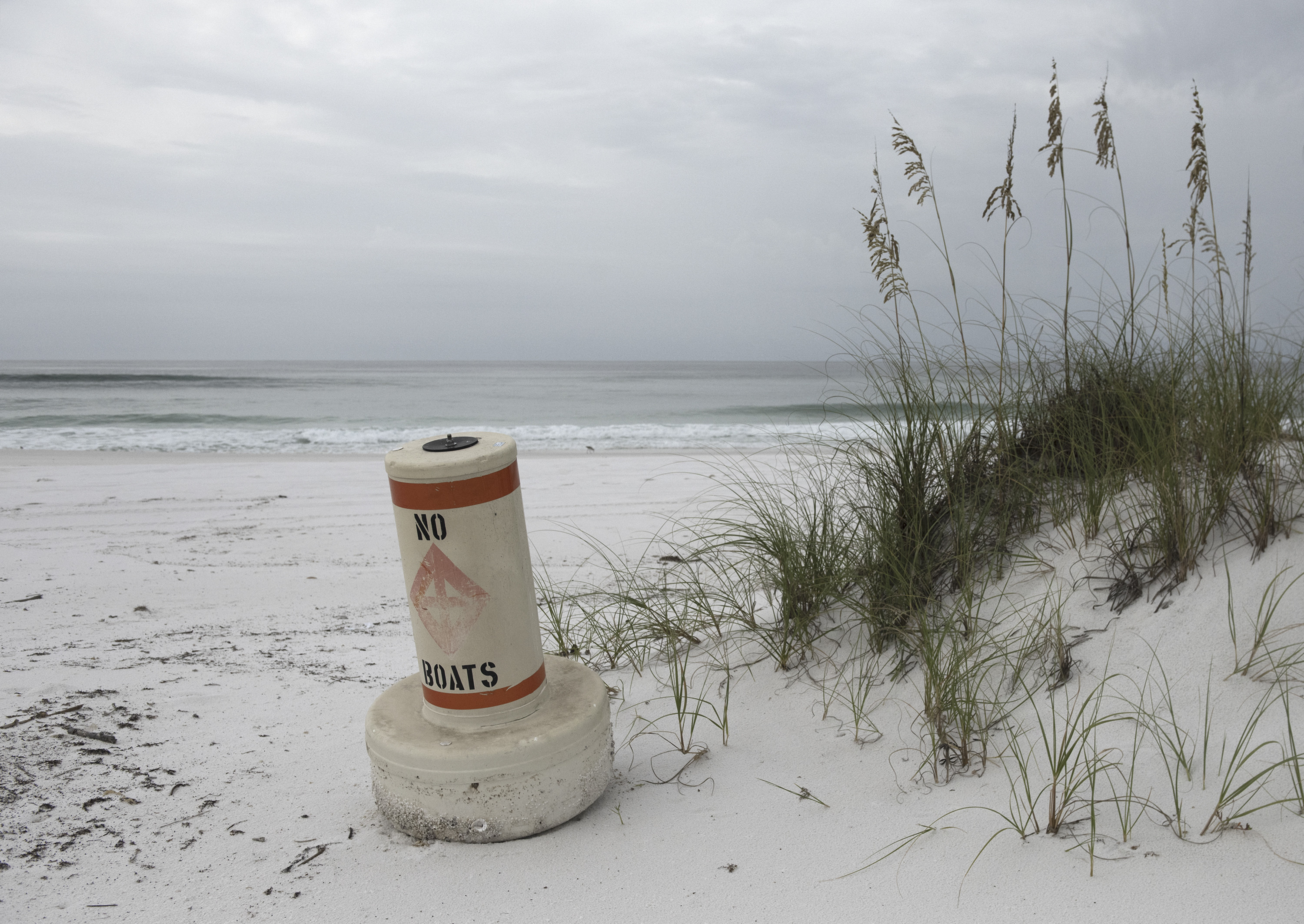 Sea turtle nesting season wraps up > Eglin Air Force Base > Article Display