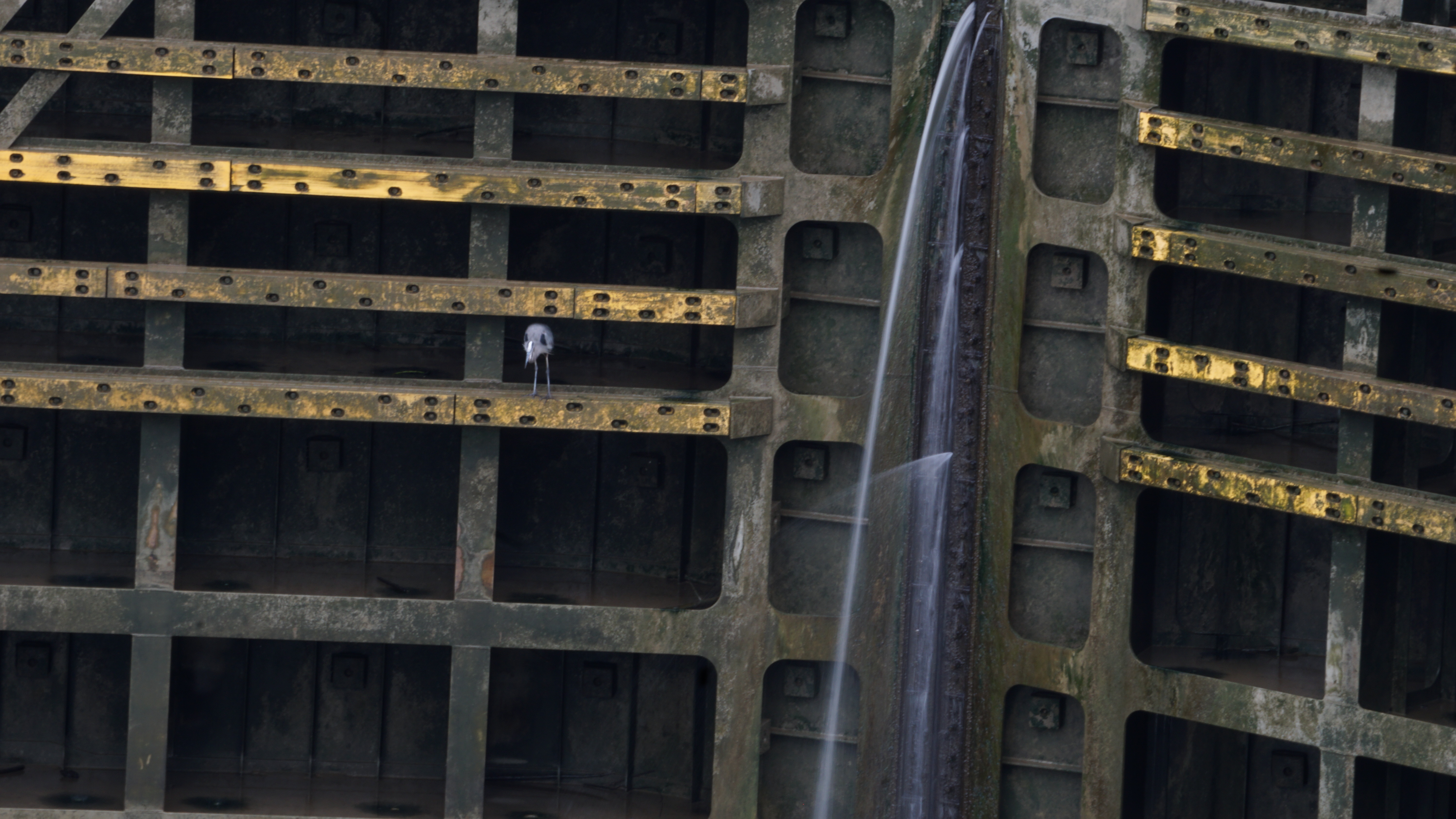 Lockmaster’s view – The McAlpine Locks and Dam > Great Lakes and Ohio ...