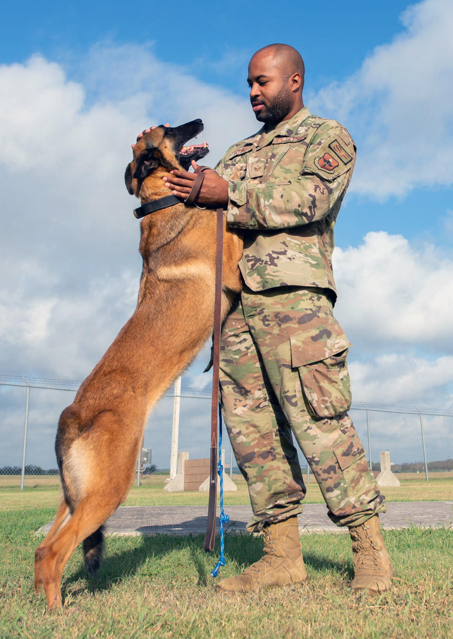 Military Working Dogs: JBSA’s four-legged defenders > Air Education and ...