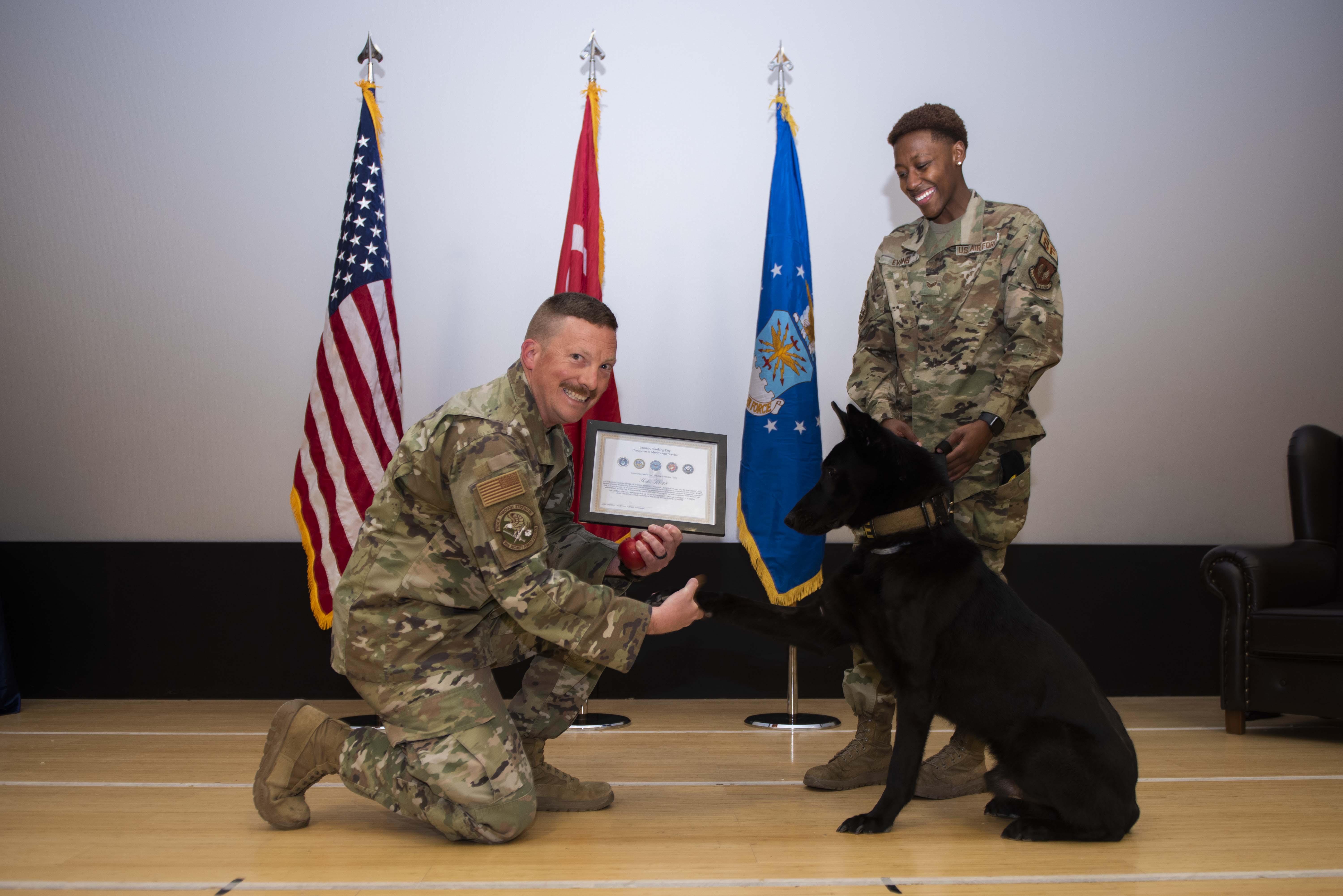 Service Before Self: Incirlik Airmen celebrate MWD Yoda on retirement ...