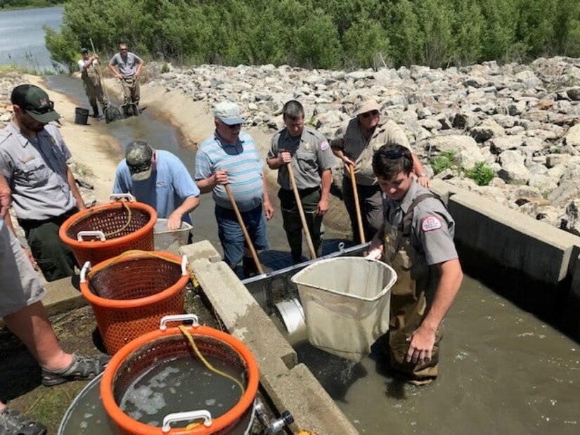 Summer Employment Available at Lake Shelbyville > St. Louis District ...