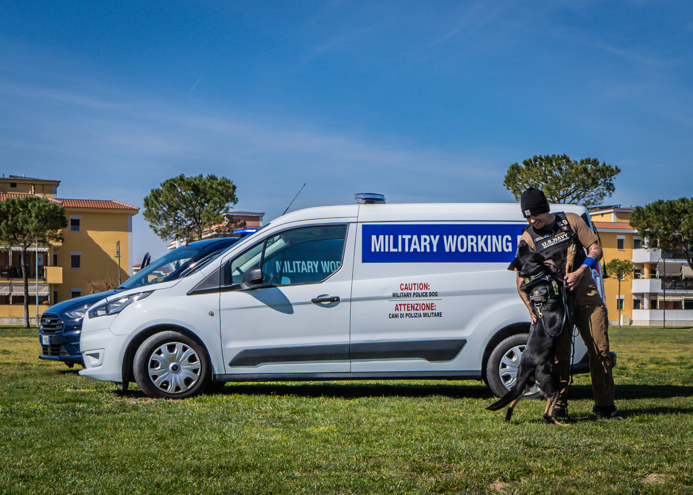 NSA Naples Celebrates Man’s Best Friend in a K9 Veterans Day 5K ...