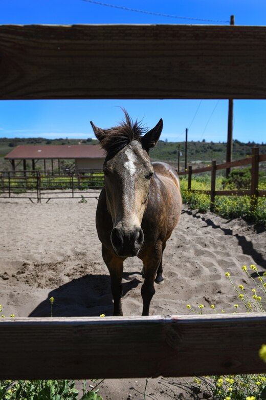 The Sun Sets on Vandenberg’s MWH Program > Vandenberg Space Force Base ...
