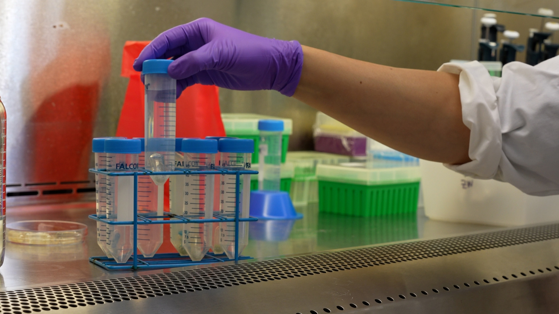 NRL fungal experiment launches as Artemis I payload > U.S. Naval ...