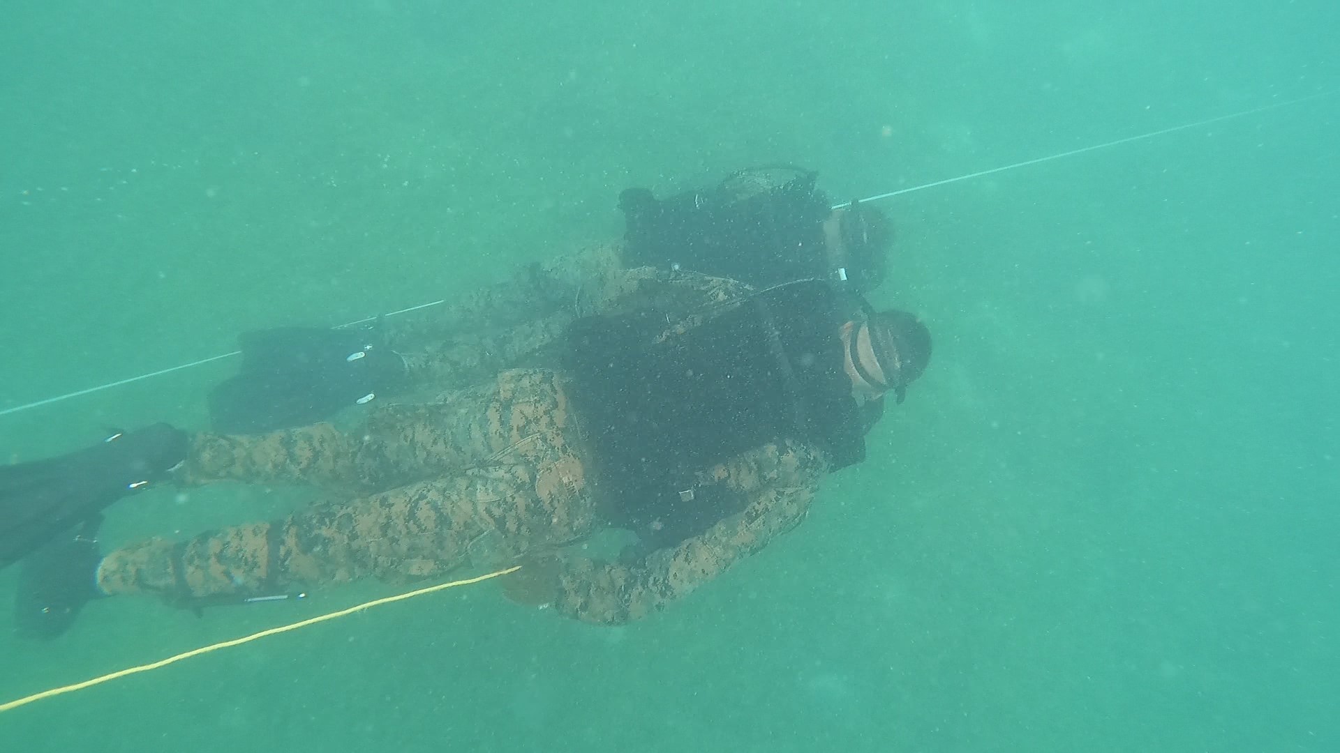Caribbean Coastal Warrior Pace Dive