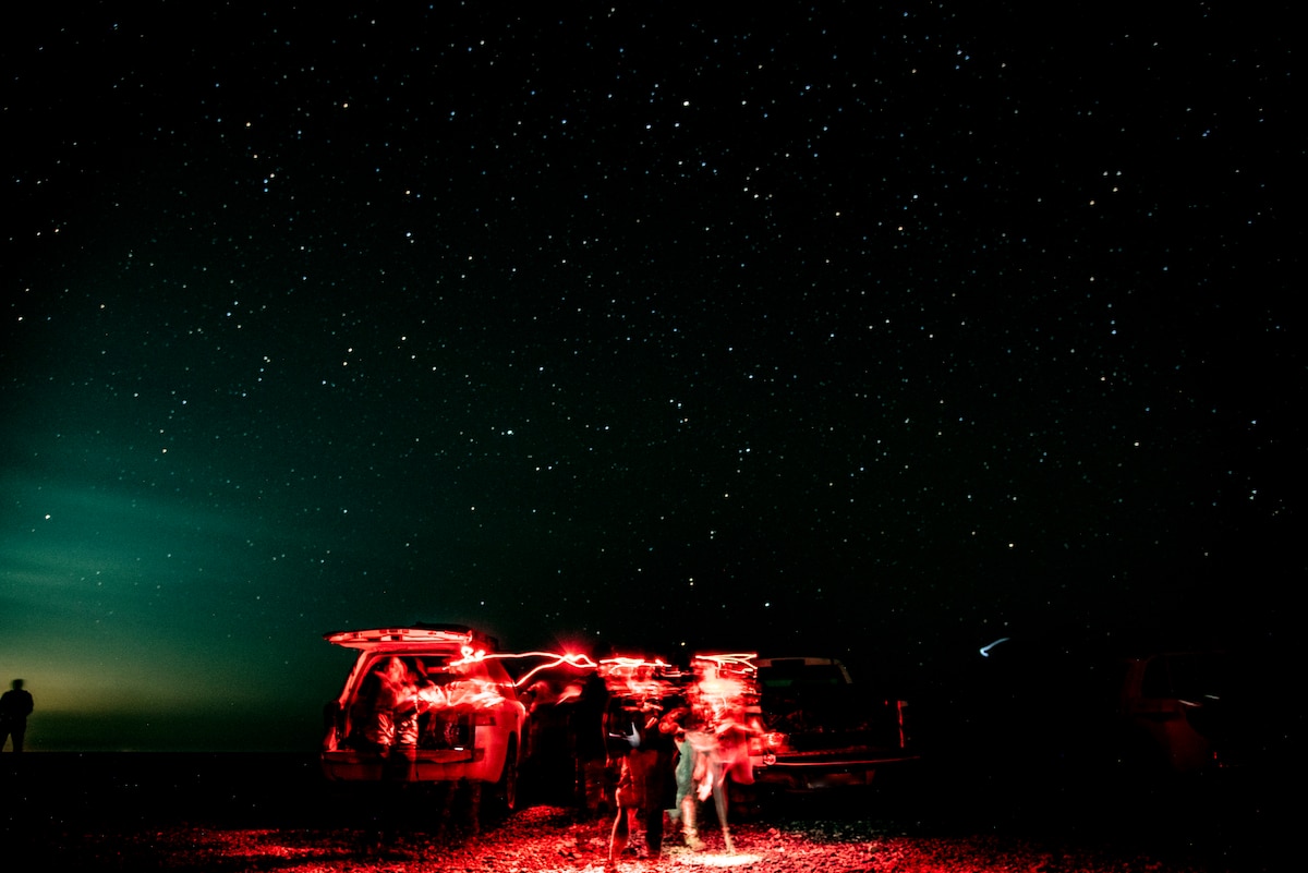 Joint Forces conduct Close Air Support training with 335 EFS > 505th ...