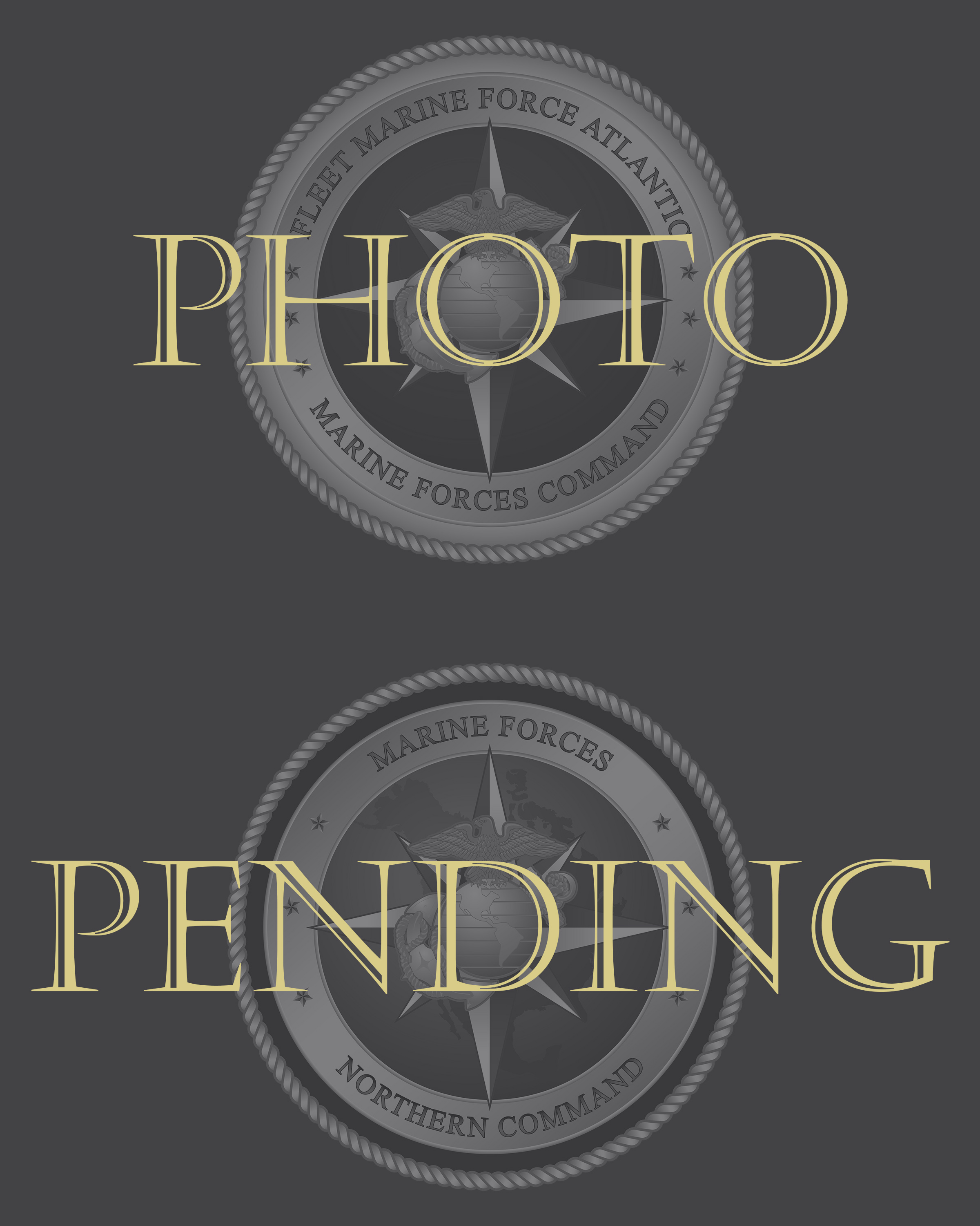 Major General John F. Kelliher III > FLEET MARINE FORCE, ATLANTIC ...