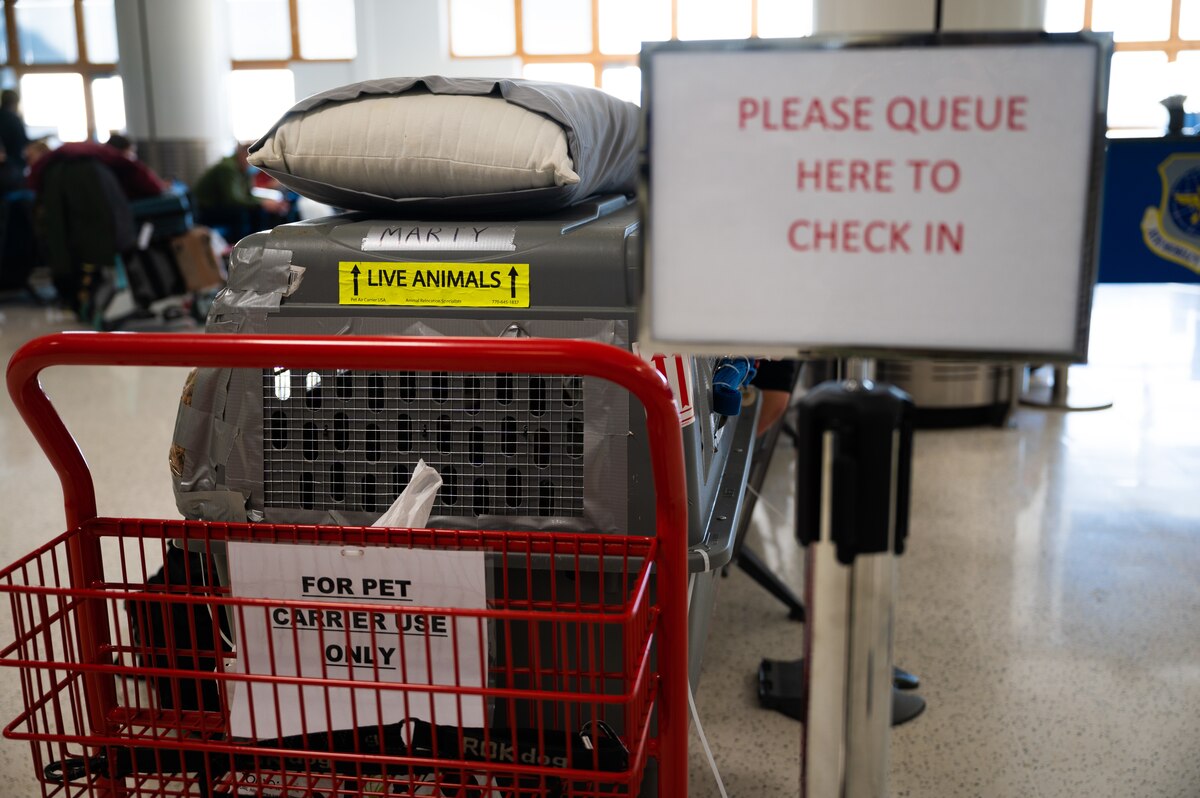 Patriot Express takes off from RAF Mildenhall > Royal Air Force ...