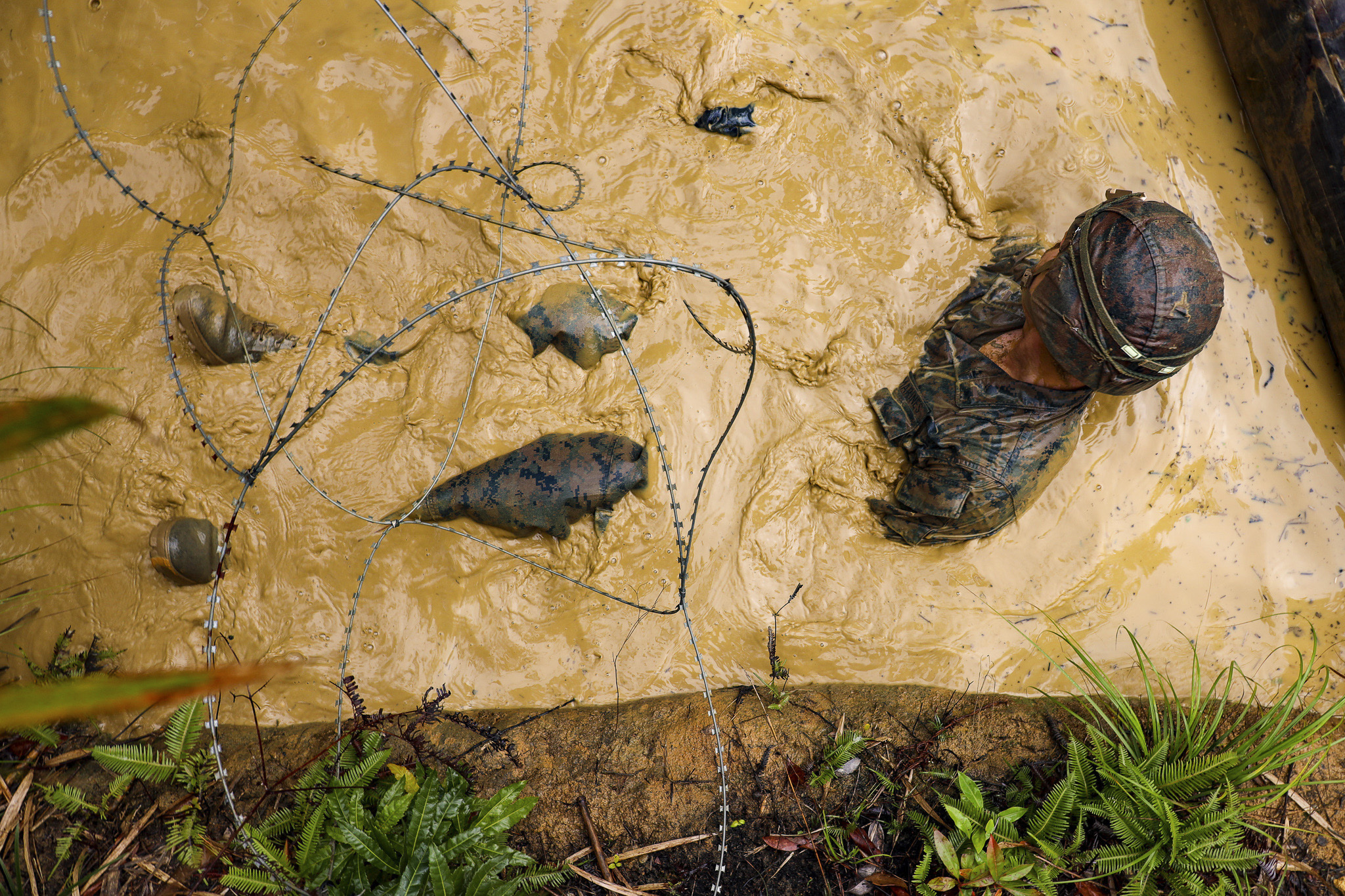 Muddy Marine