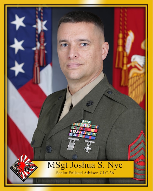 Master Sergeant Joshua S. Nye > 3d Marine Logistics Group > Leader's bio