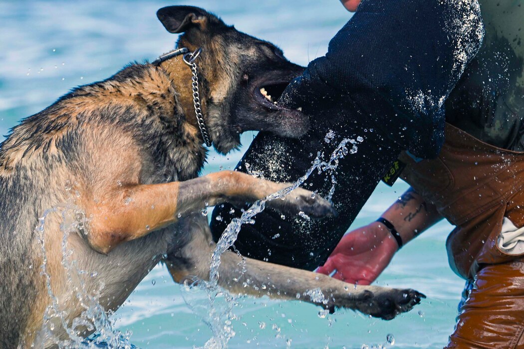 The Official Home Page of the U.S. Air Force