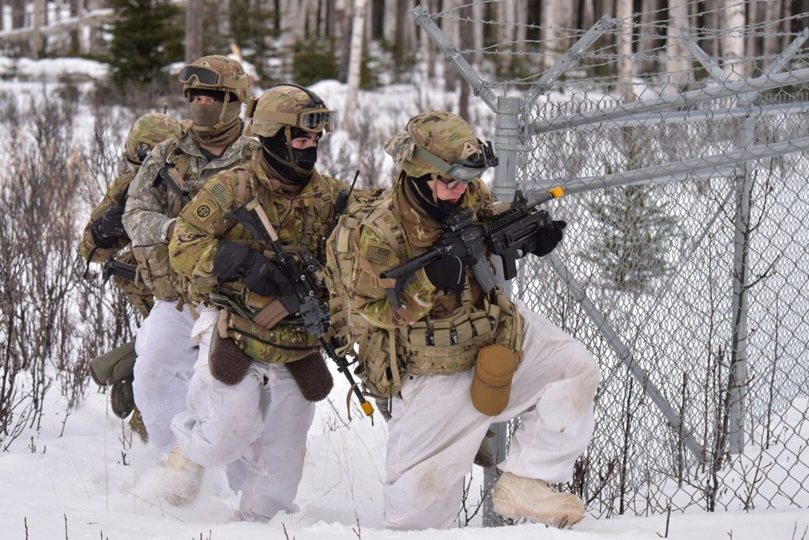 Army introduces strategy to combat climate change > Joint Base San ...