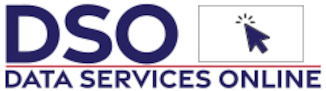 DSO Data Services Online logo