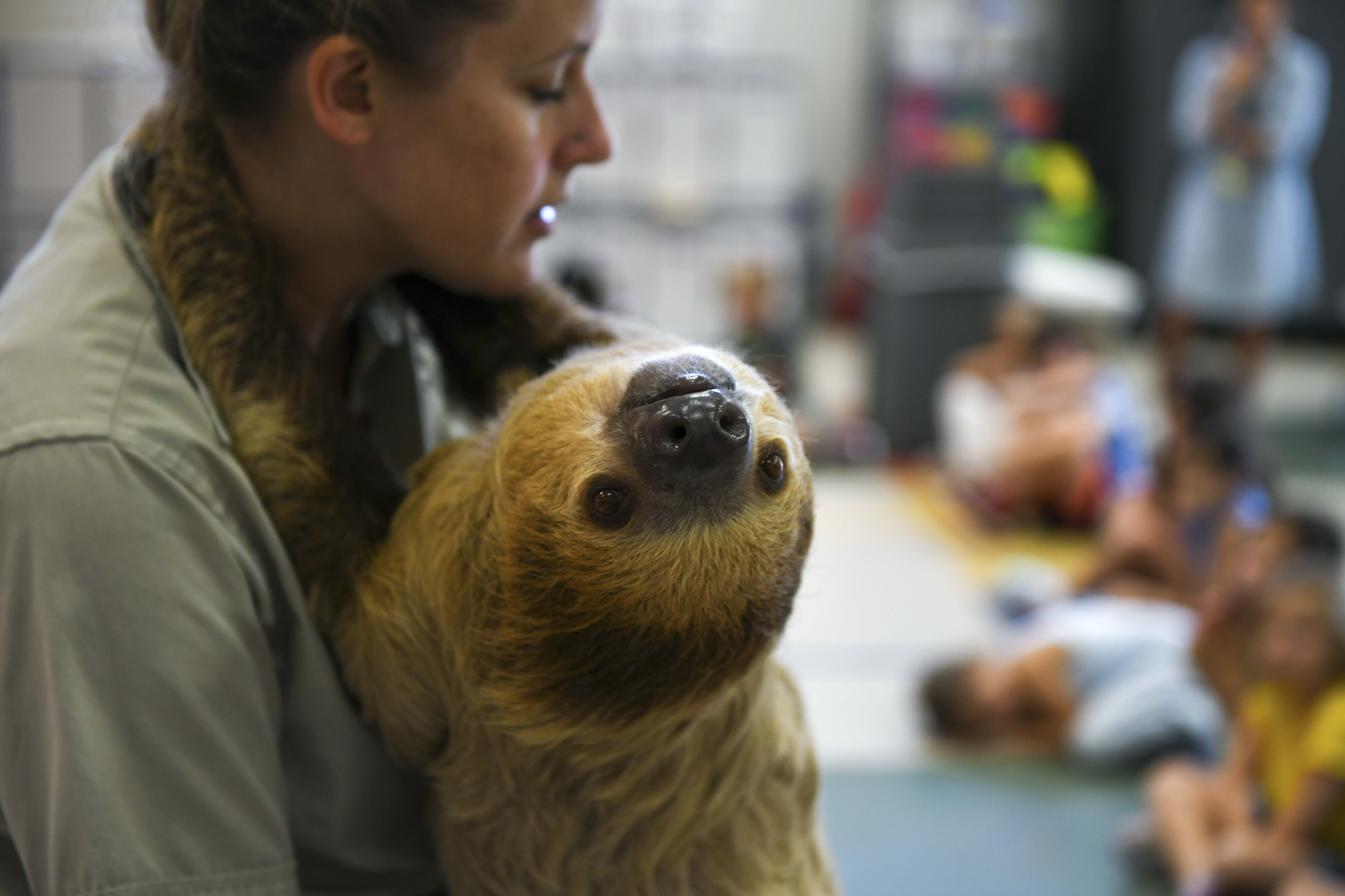 Sloth Show | U.S. Department of War