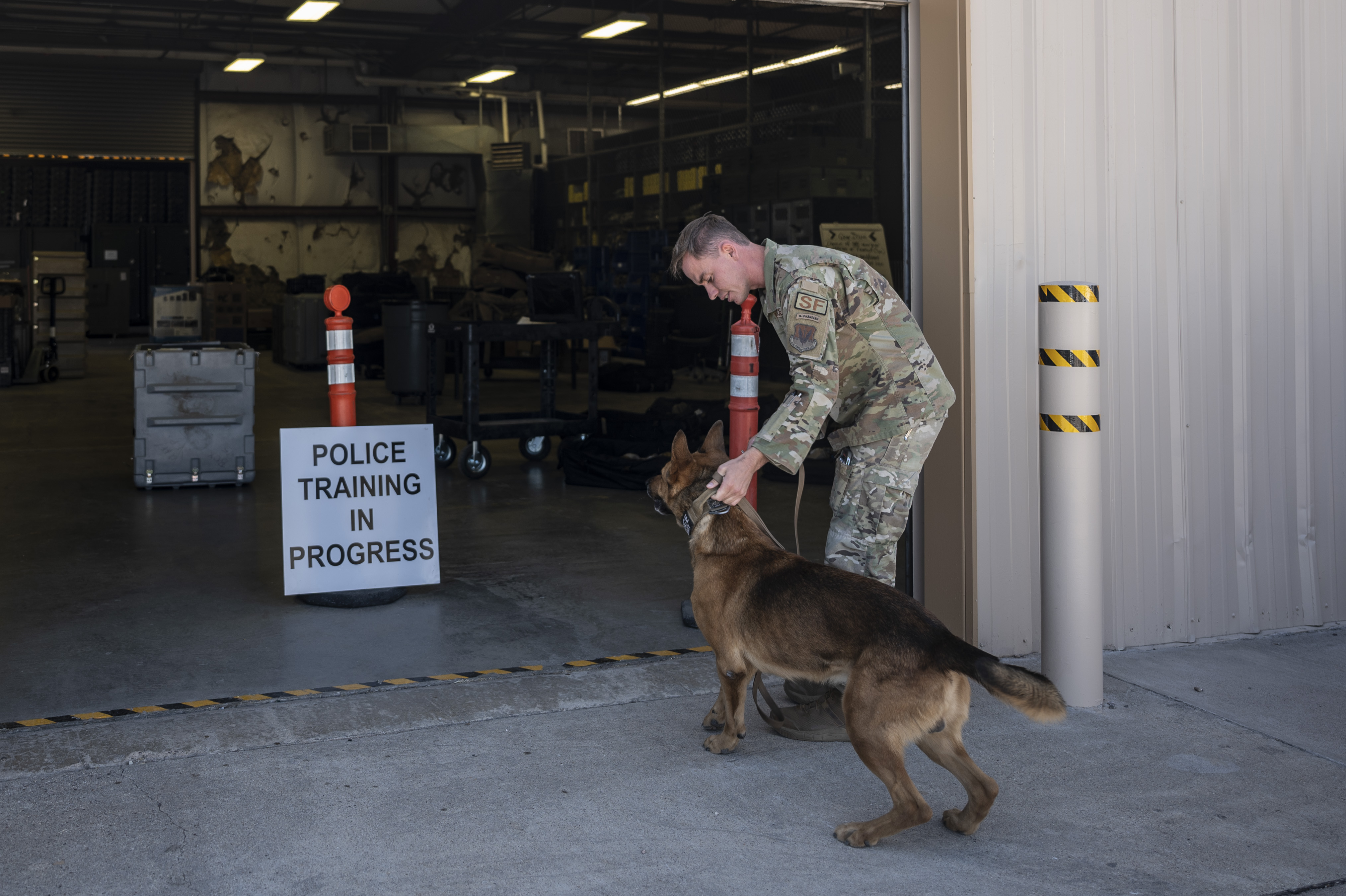 MWD: the beast defender > Air Force Security Forces Center > Article ...