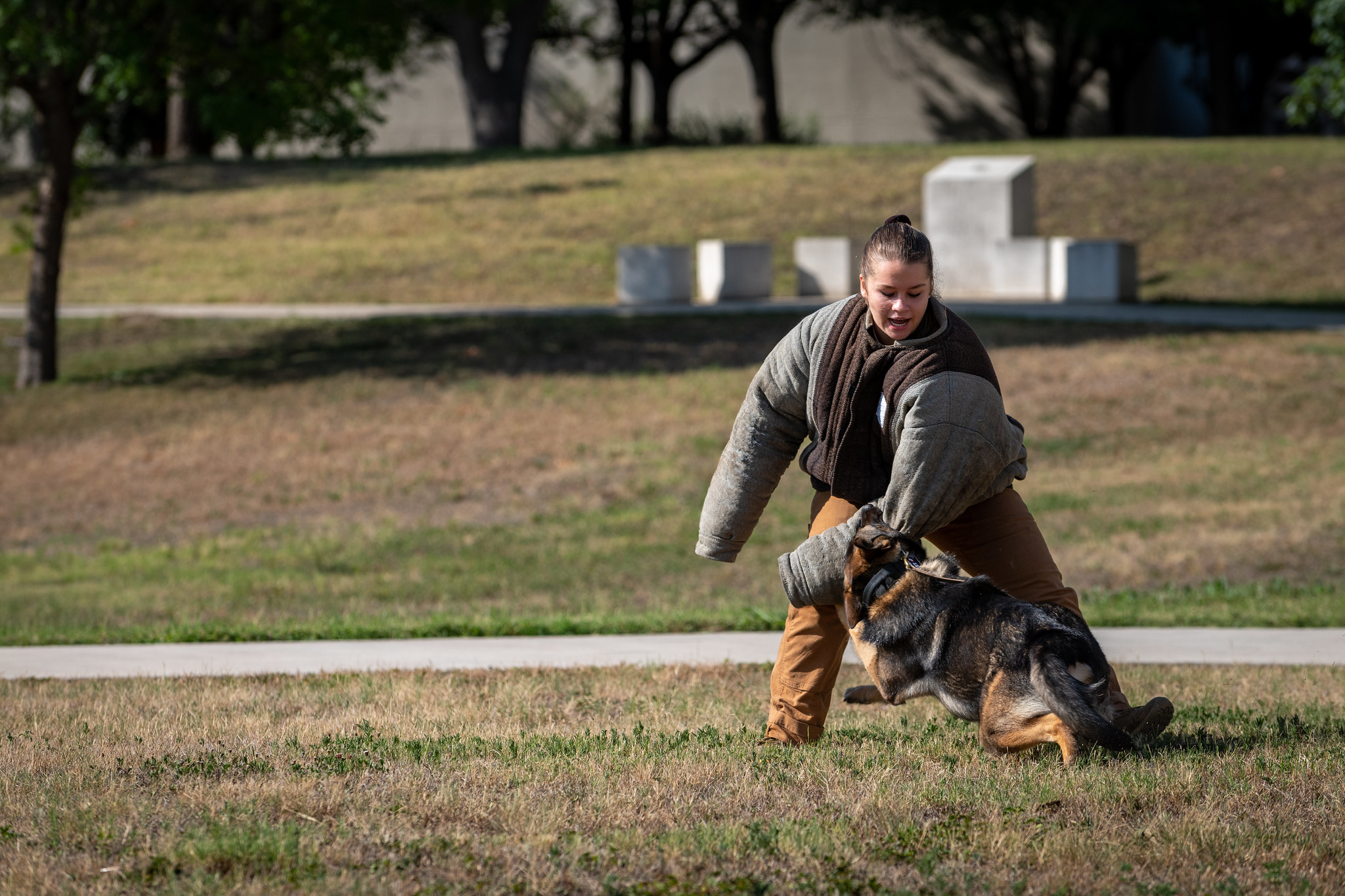 Army Veterinary Corps celebrates 106th anniversary > Joint Base San ...
