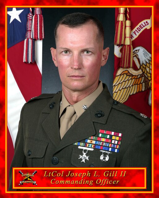 Lieutenant Colonel Joseph Gill II > 3rd Marine Division > Biography