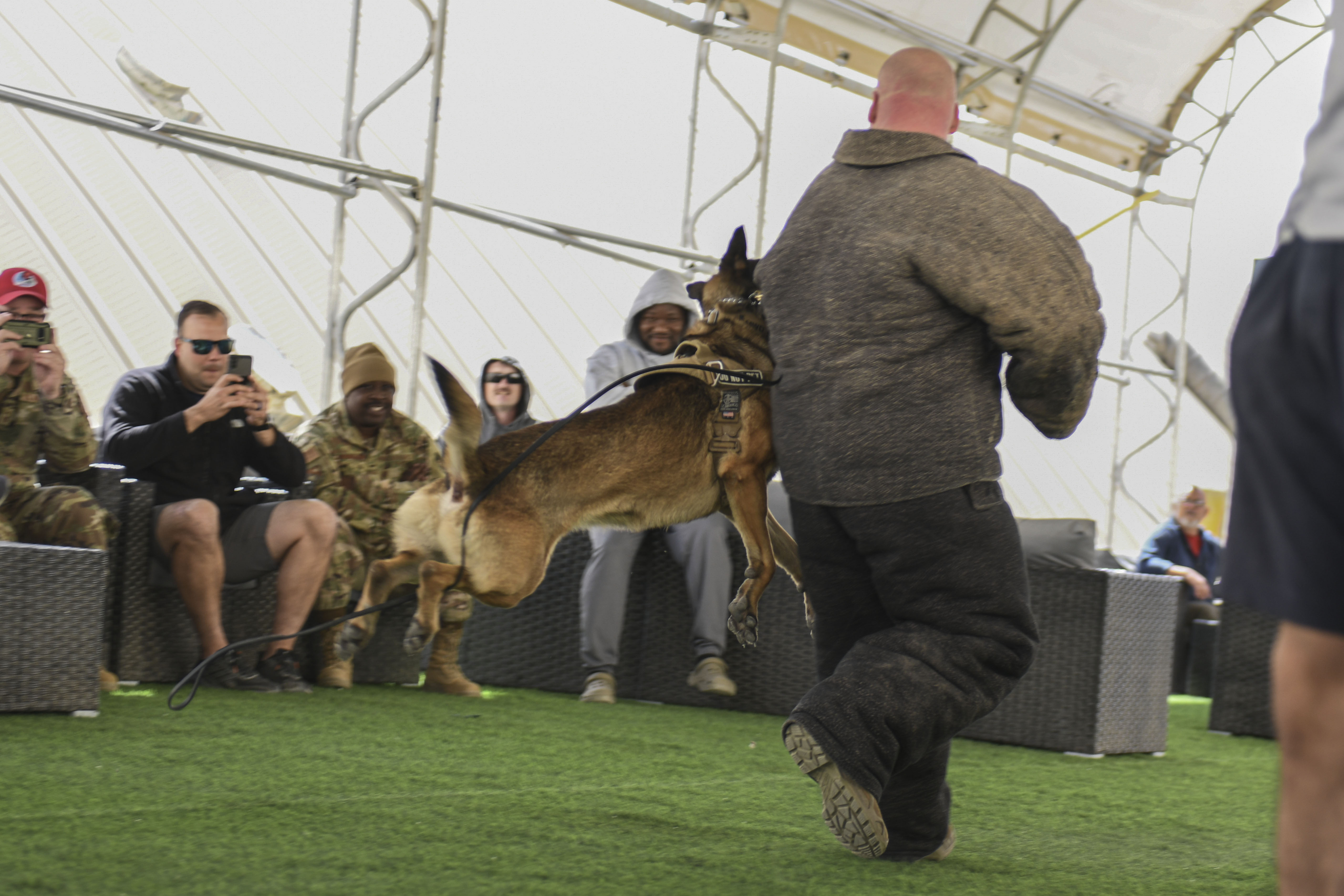 332d Military Working dog demonstration > U.S. Air Forces Central > News