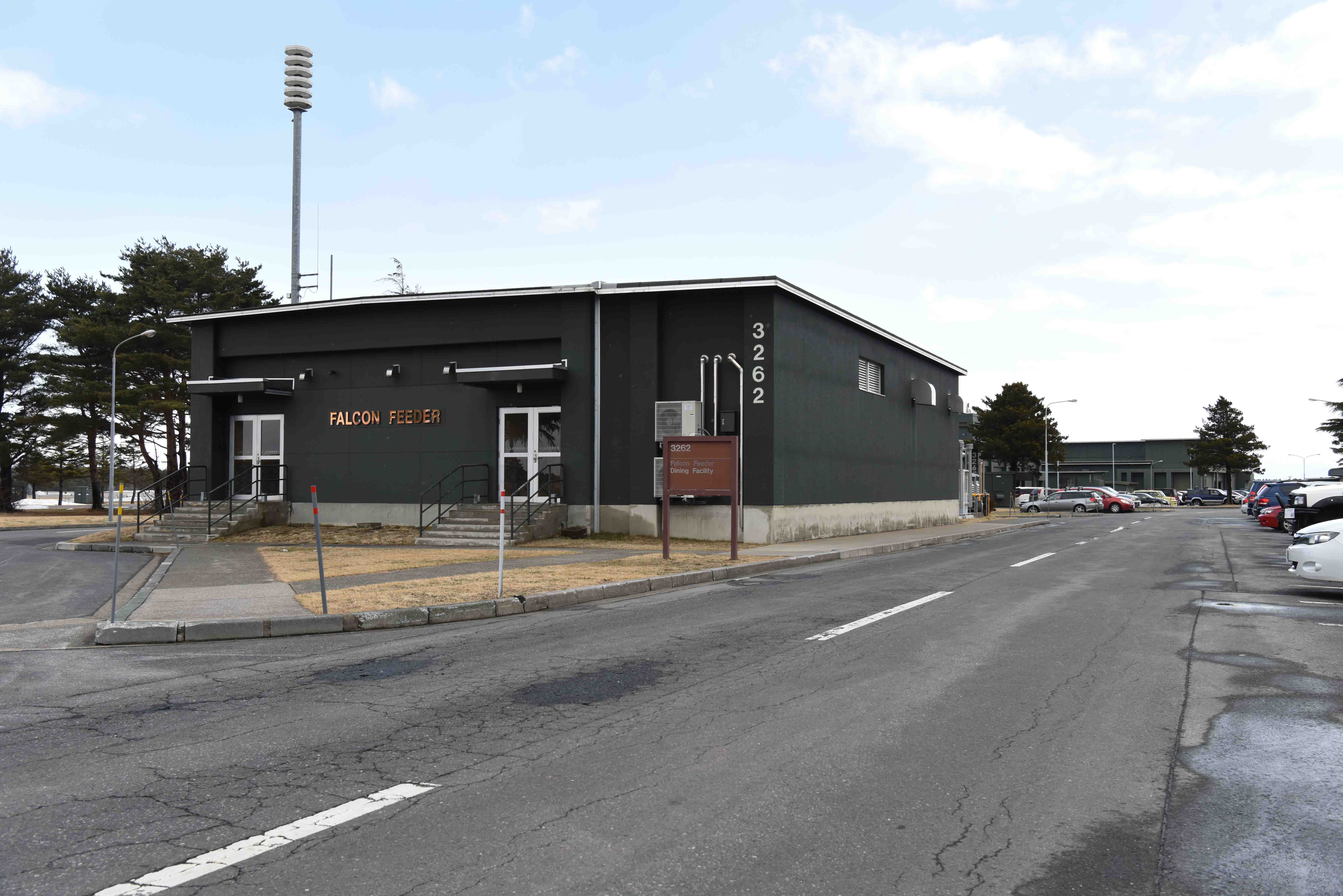 Wild Weasel Walk-Through: Falcon Feeder