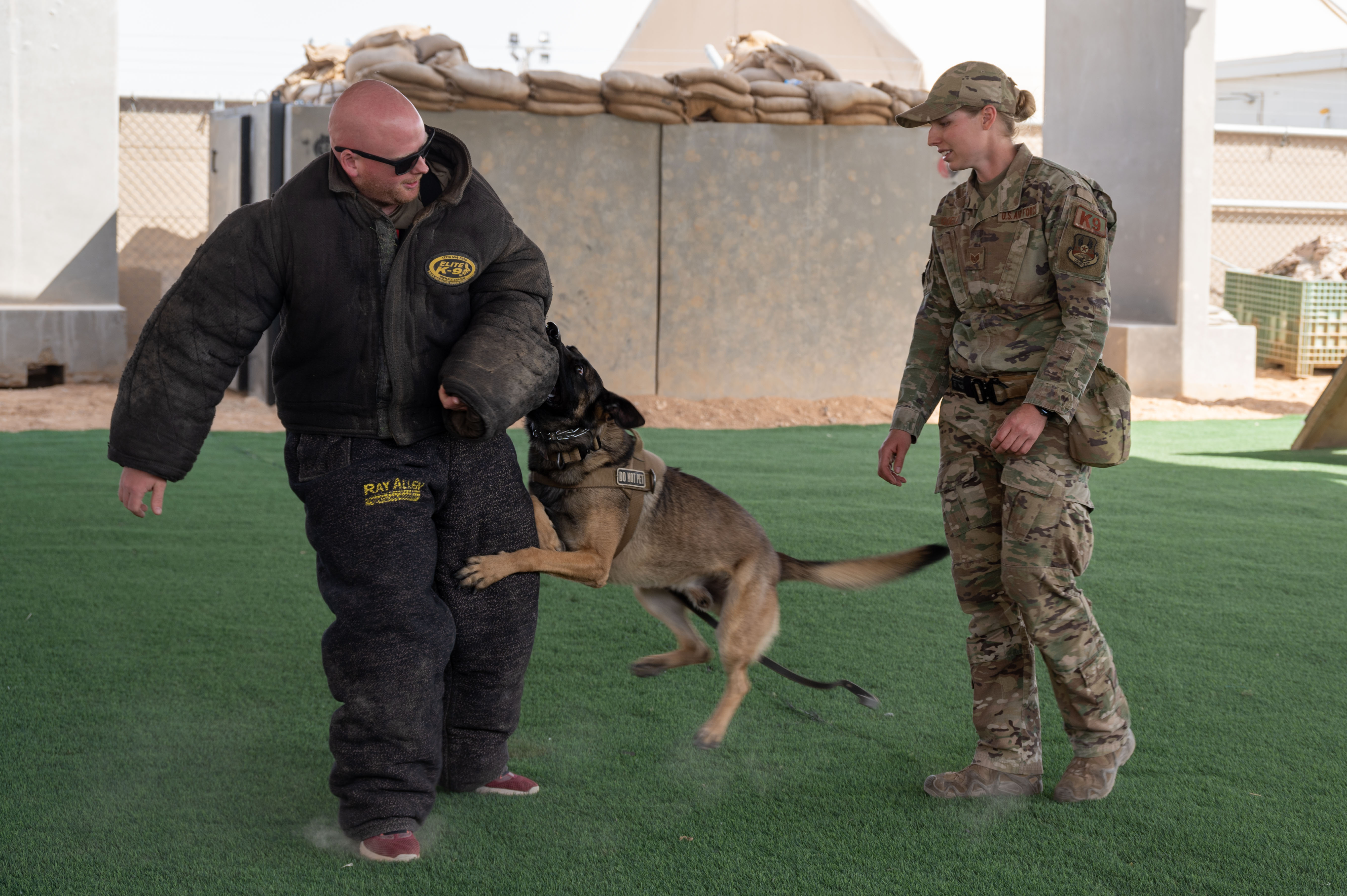 Military working dog and handler demonstrate training > U.S. Air Forces ...