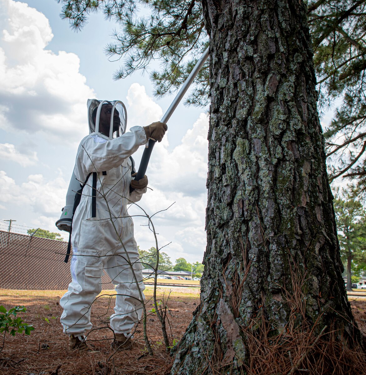 Pest management controls the habitat > Seymour Johnson Air Force Base ...