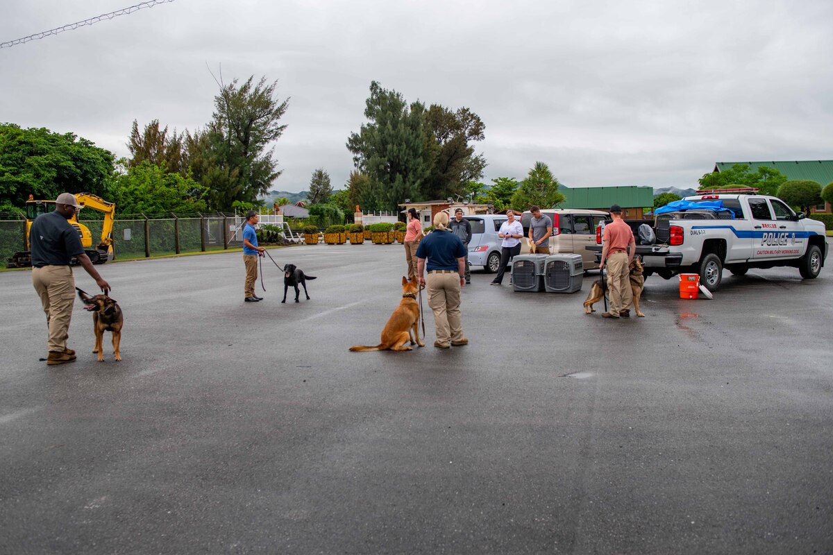Sniffing out danger at Okuma > Kadena Air Base > News
