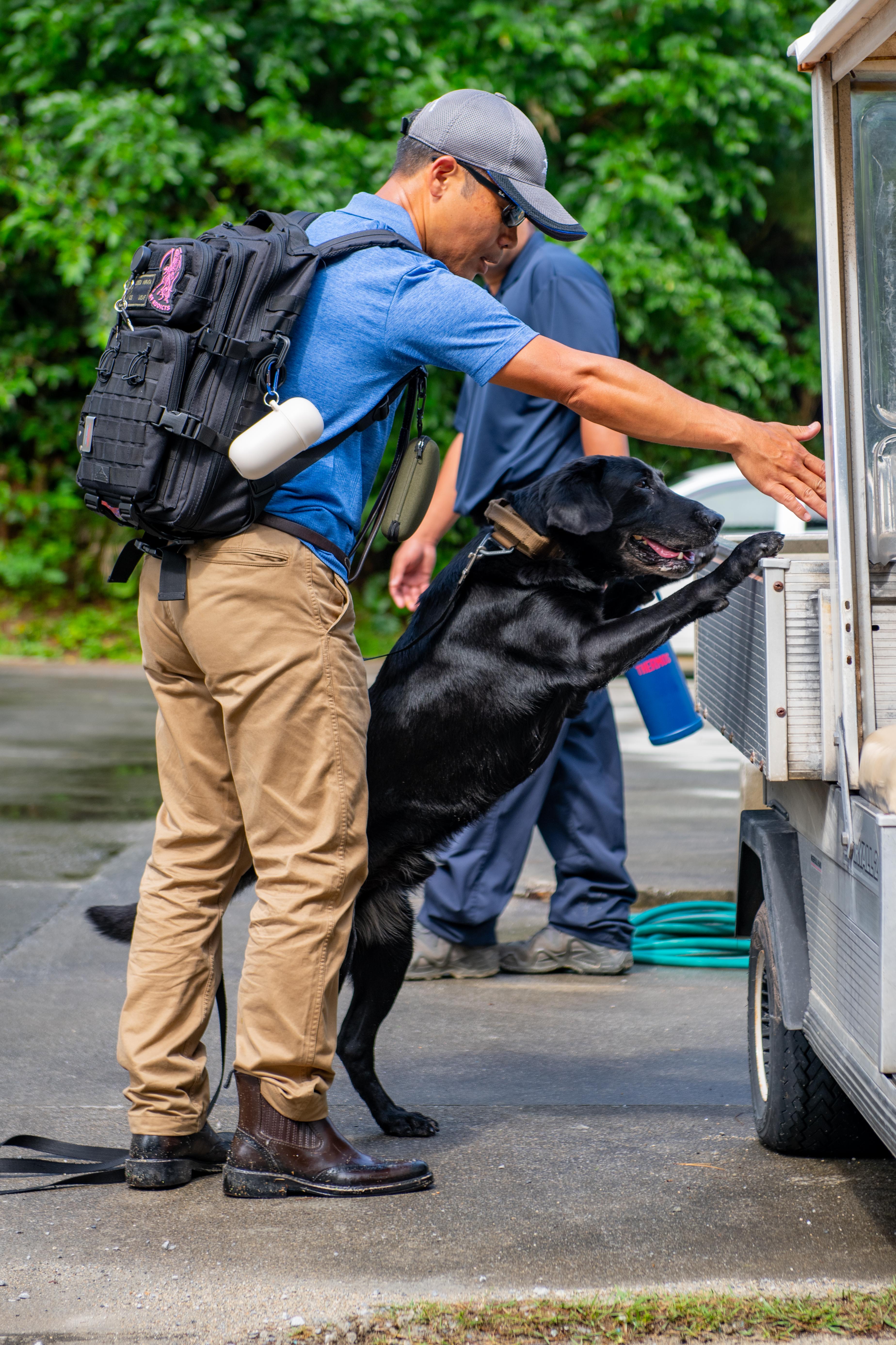 Sniffing out danger at Okuma > Kadena Air Base > News
