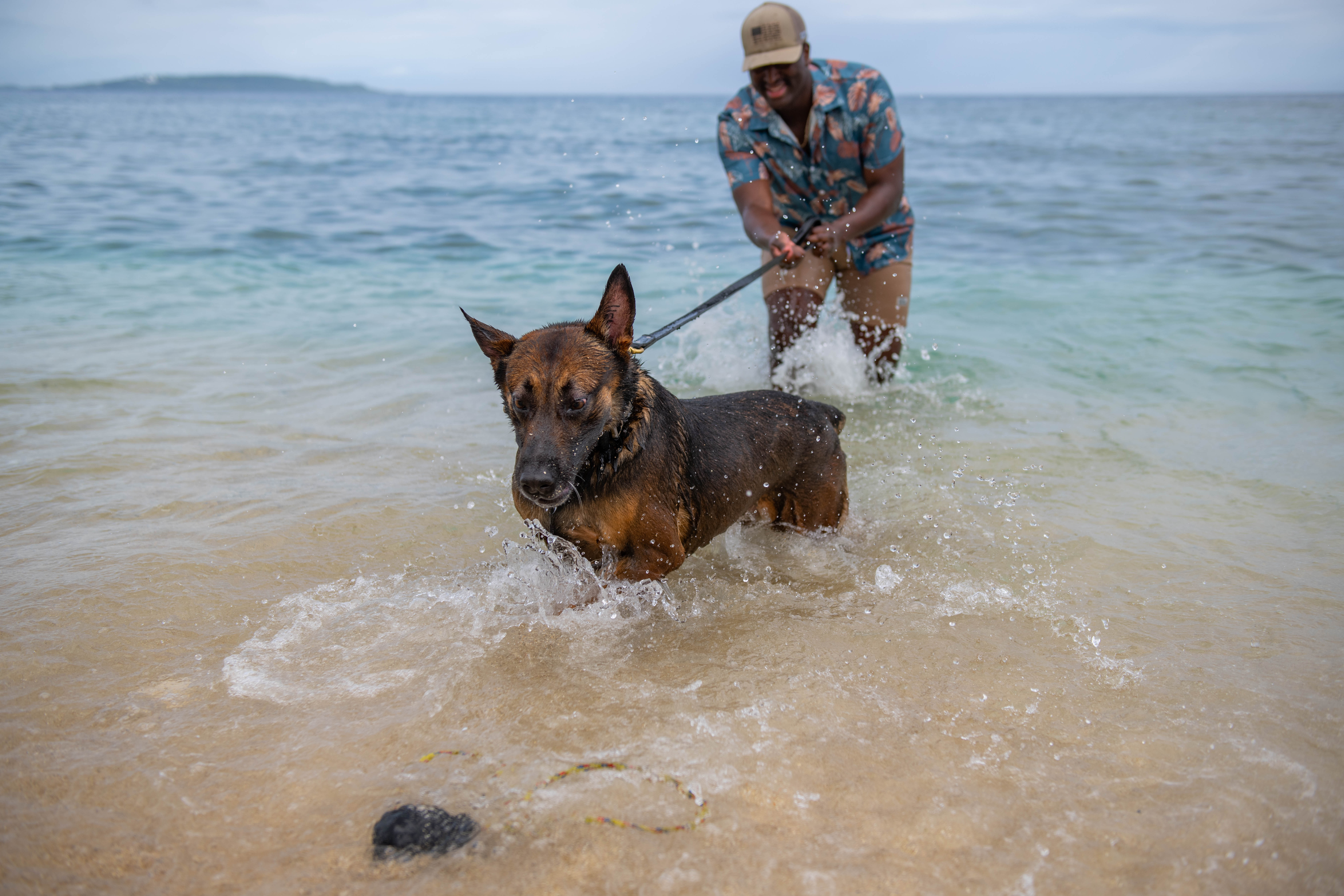 Sniffing out danger at Okuma > Kadena Air Base > News