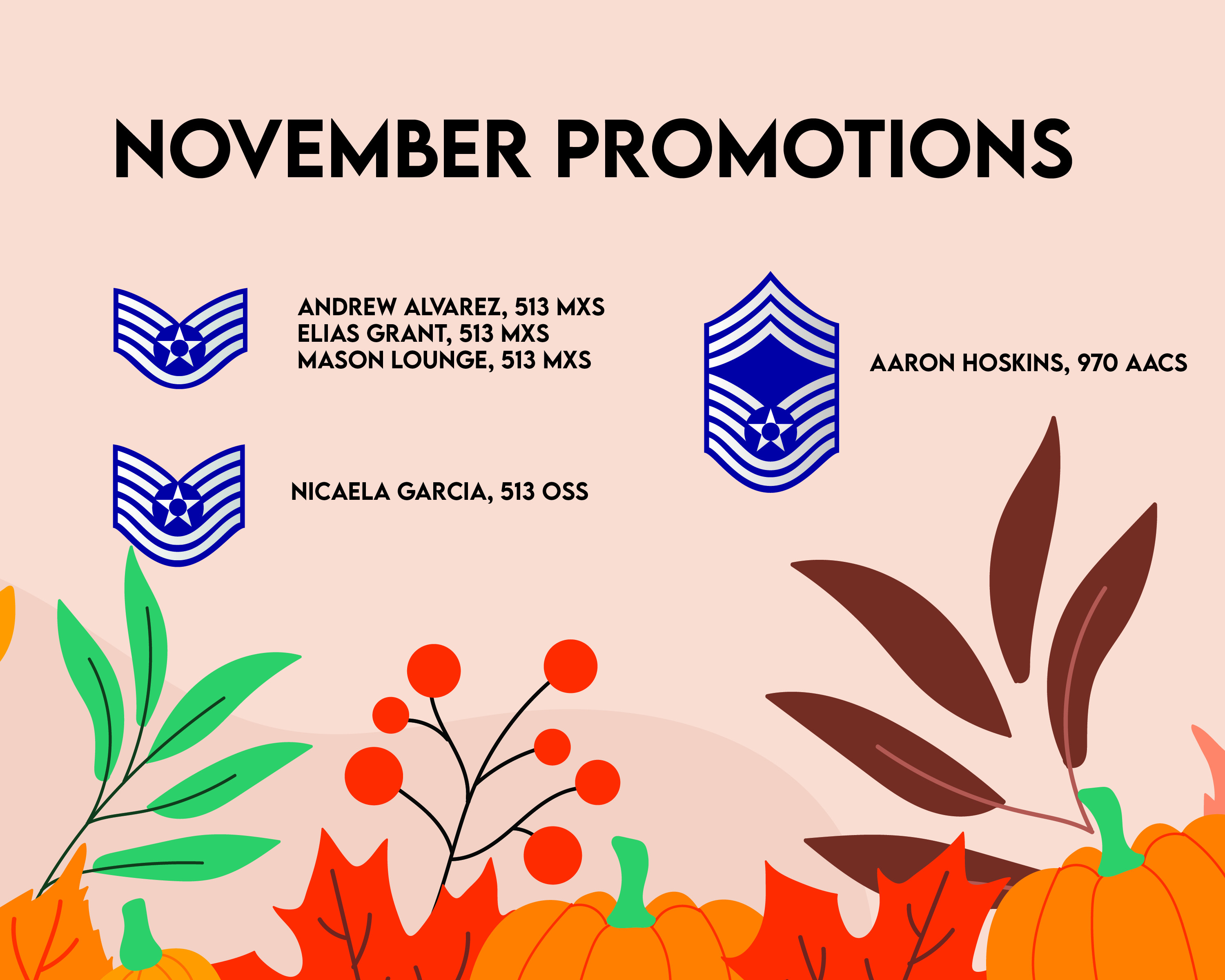 513th ACG November Enlisted Promotions > 507th Air Refueling Wing ...