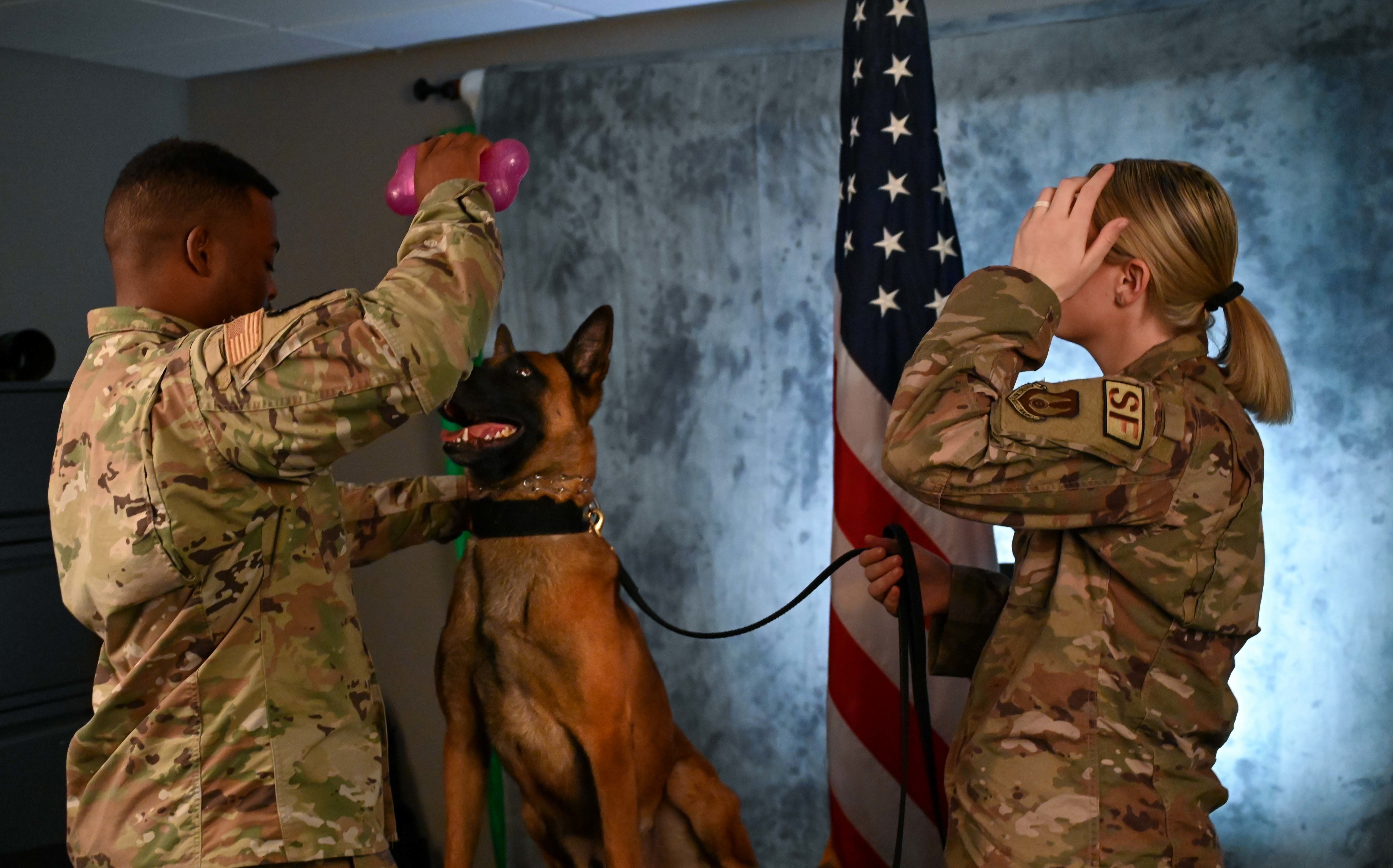 Behind the scenes: Military working dog picture day > Tinker Air Force ...