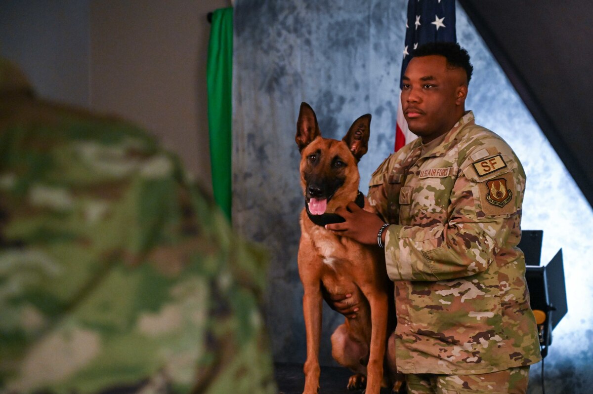 Are Dogs Used In Military