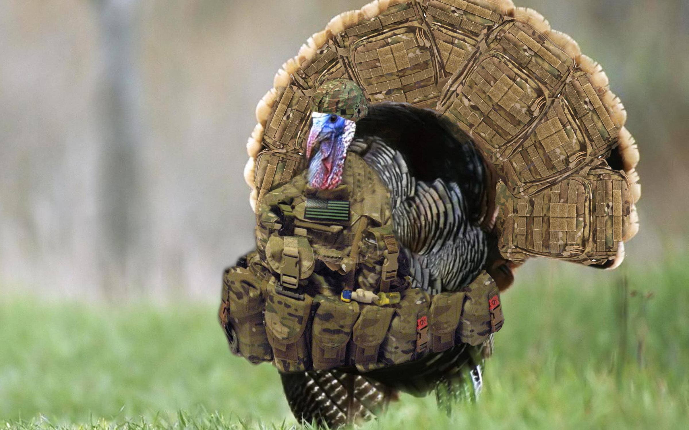 Follow these Turkey Day safety tips > Torch > Article Display