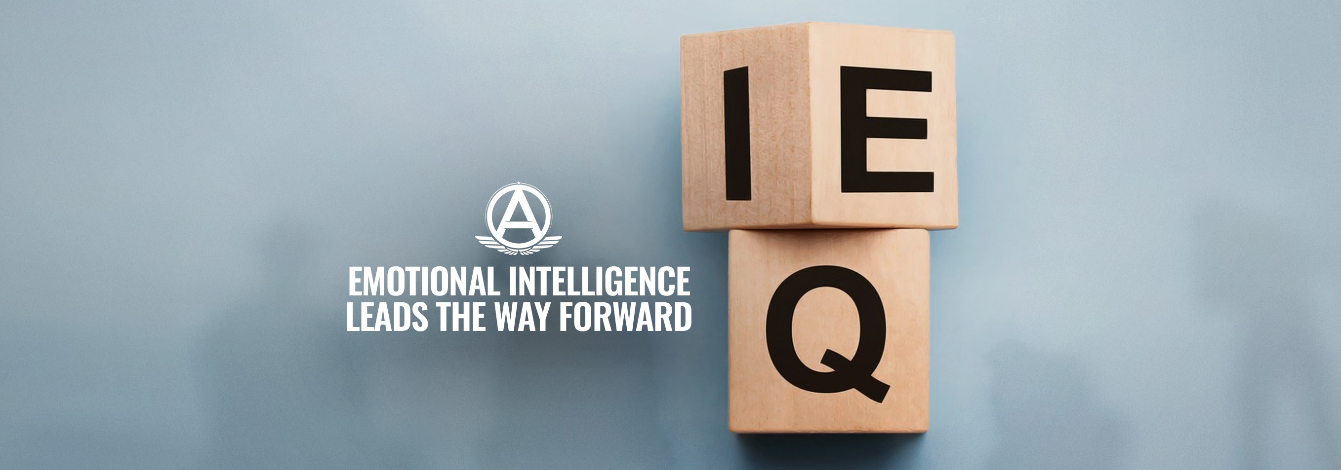 Emotional Intelligence Leads The Way Forward > 182nd Airlift Wing ...