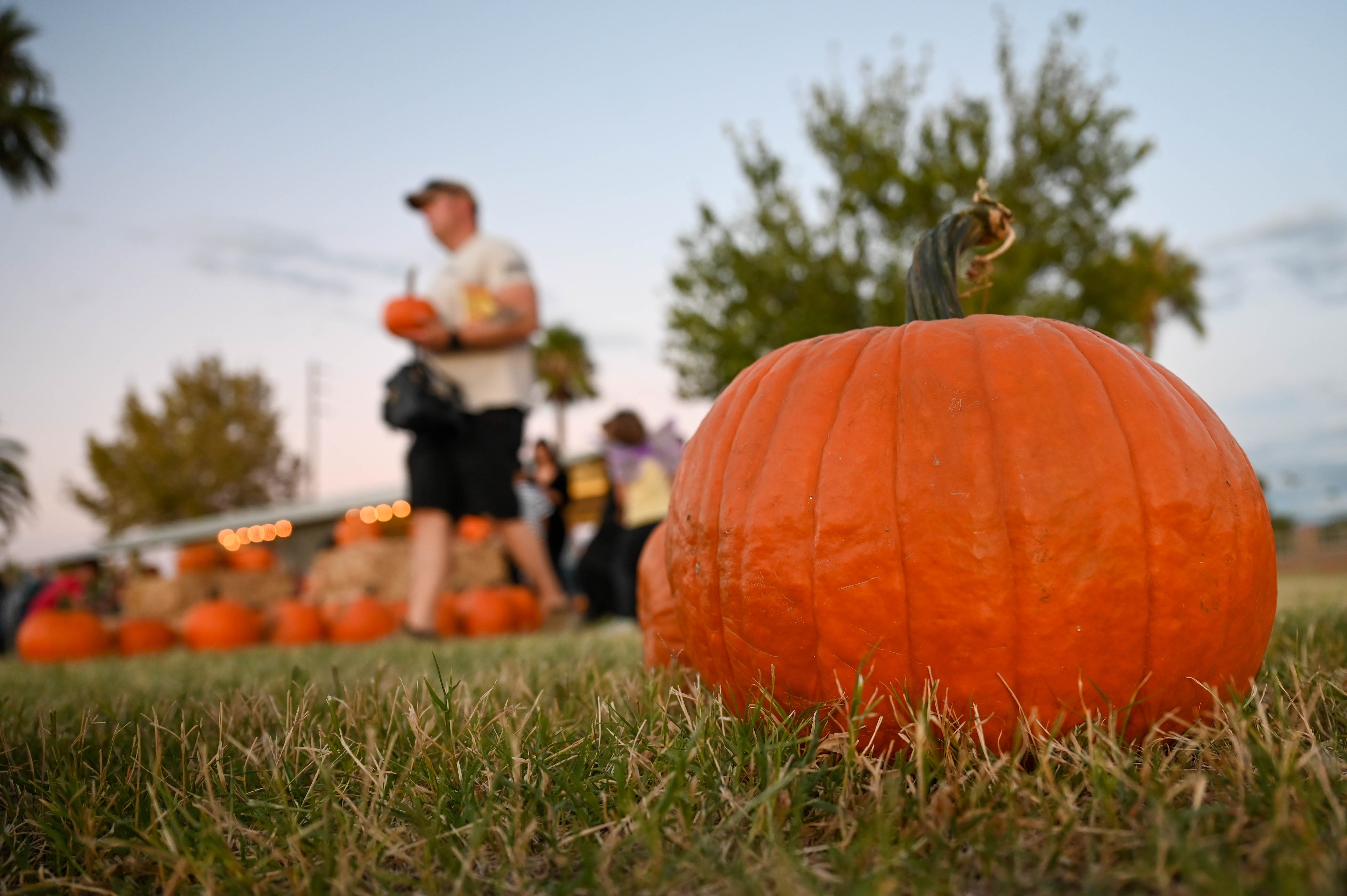 Airmen participate in Harvest Fest 2022