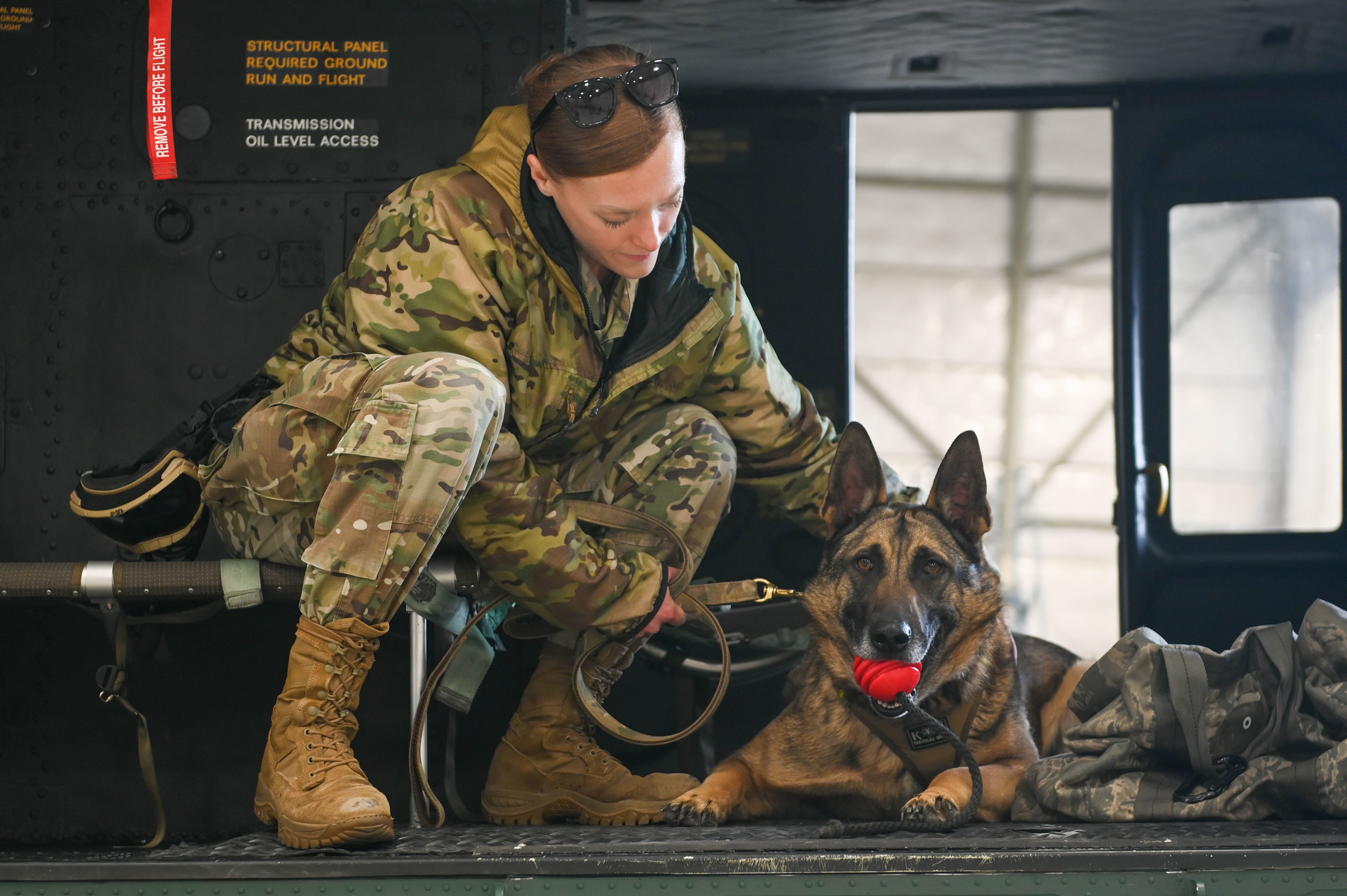 Military Working Dogs participate in UH-1N Huey training > Fairchild ...