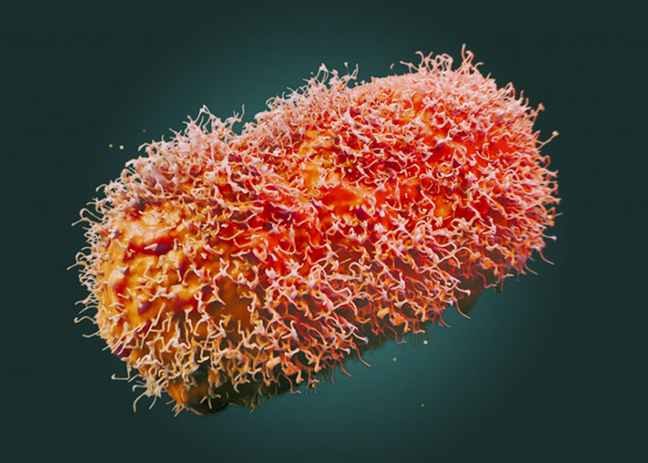 Monkeypox education recommended as U.S. cases continue to rise > Walter ...