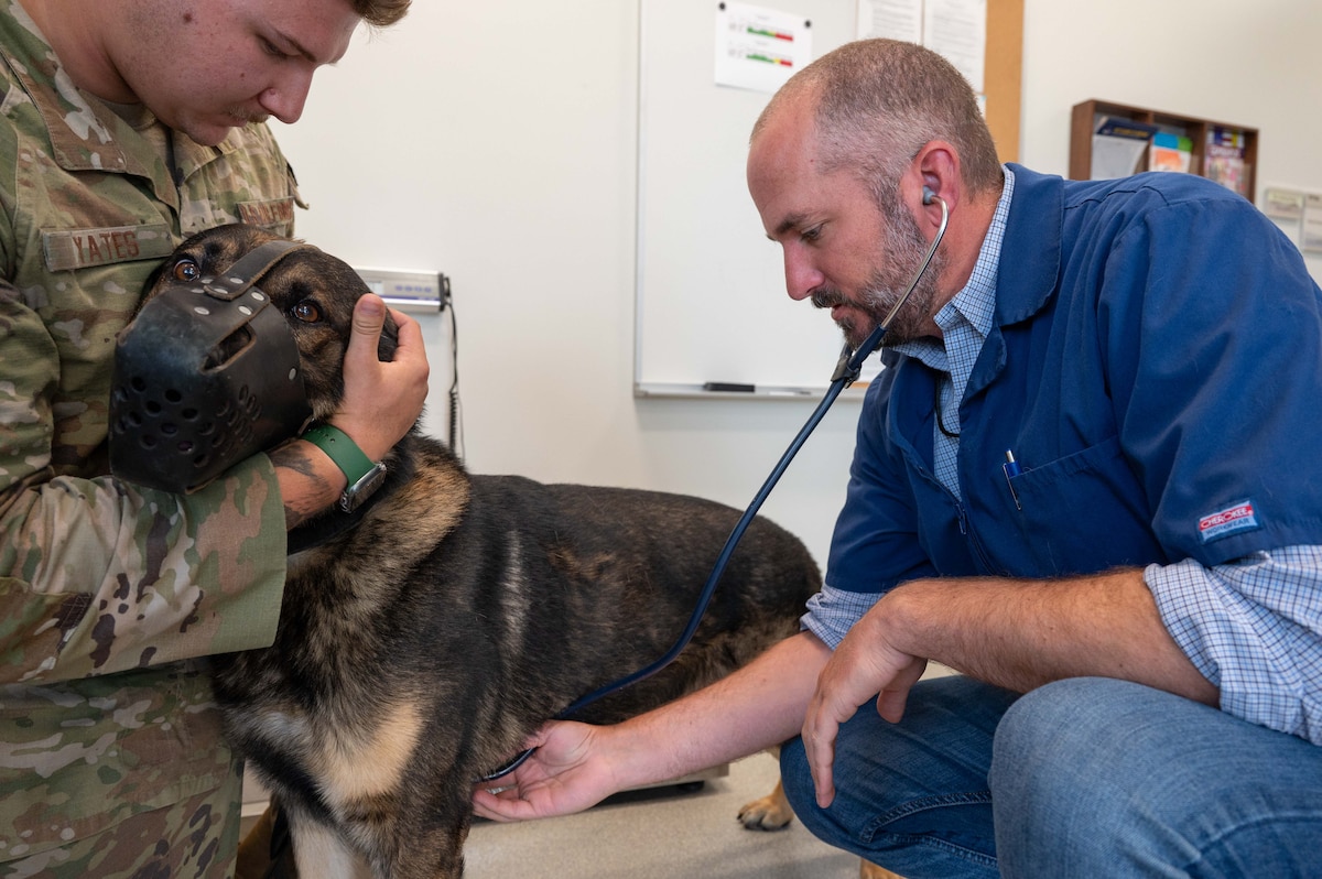 Helping our four-legged family members > F.E. Warren Air Force Base > News
